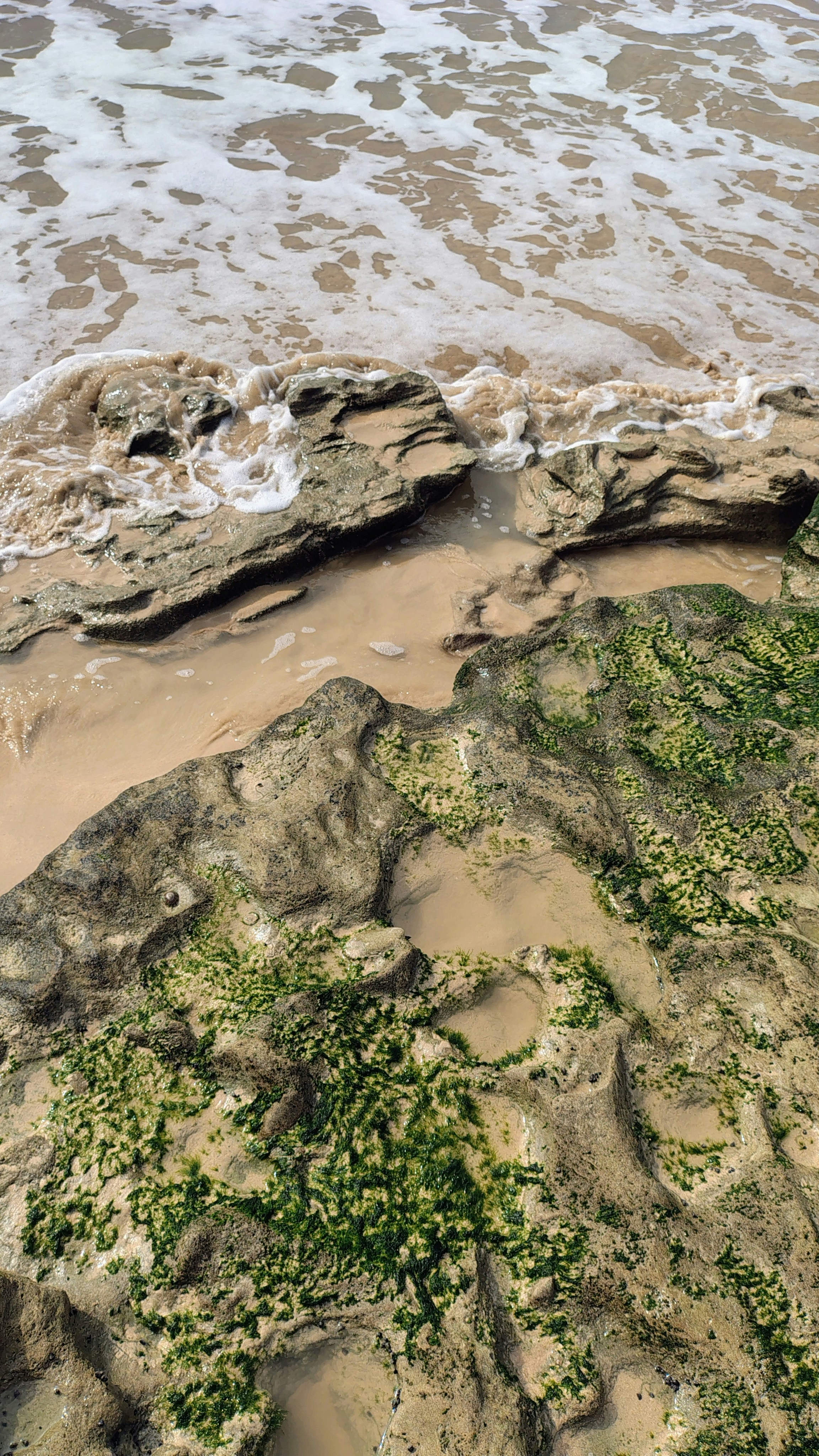 Tide-Touched Tones: Mossy Rocks Meet Ocean Foam