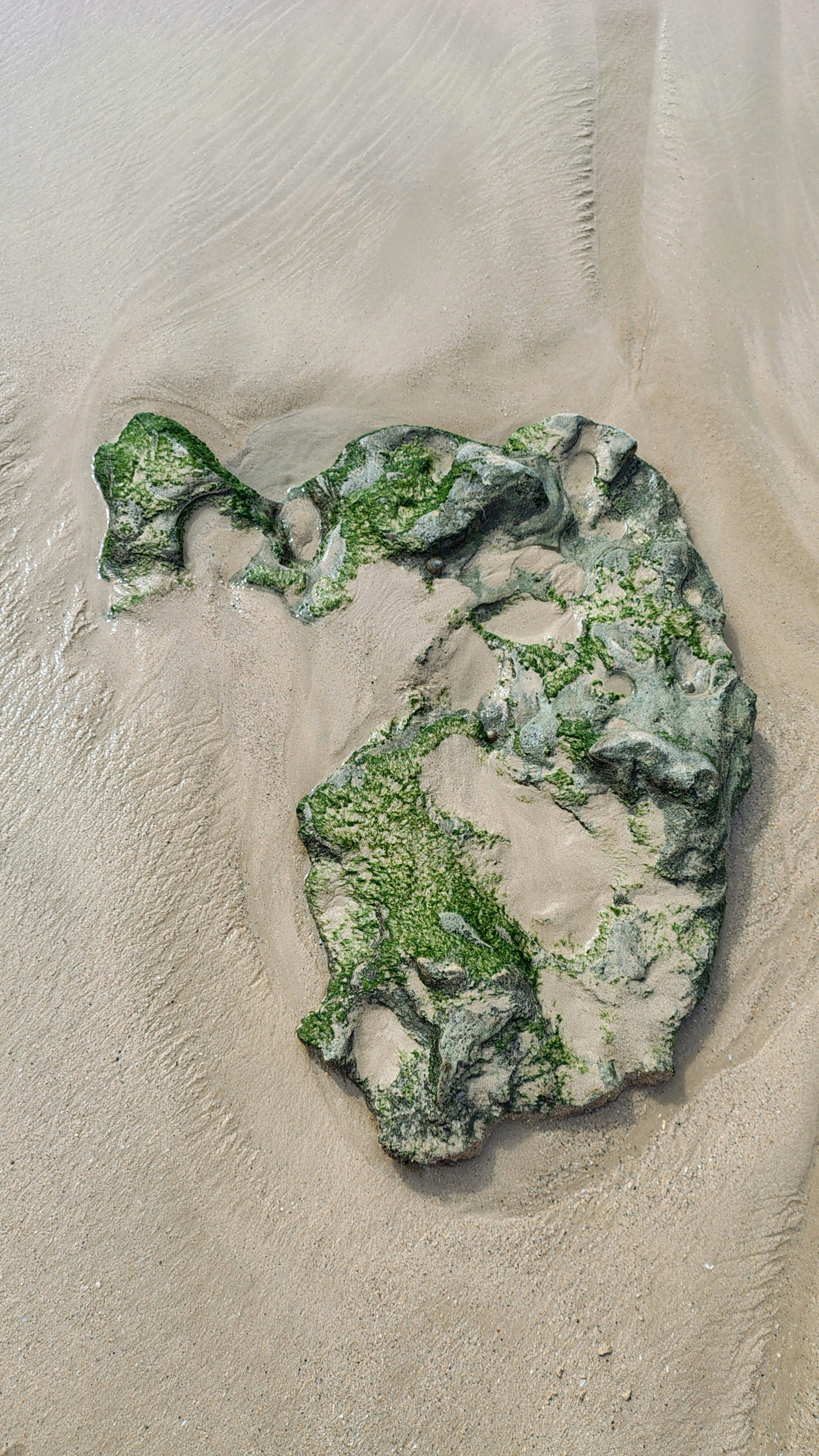 Green-tinted rock sculpture resting in tidal sand