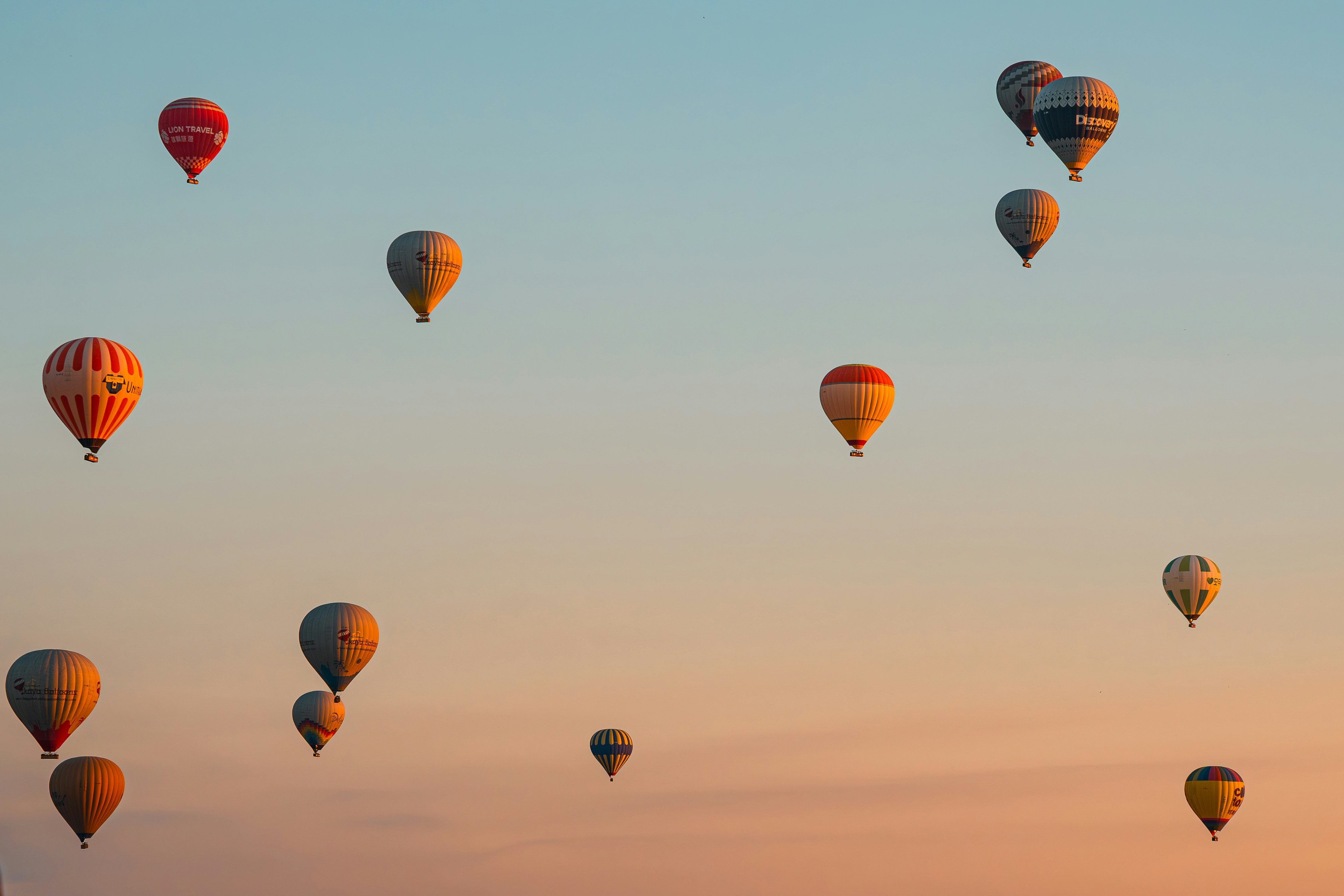 A Skyful of Balloons at Dawn: Quiet Elevation