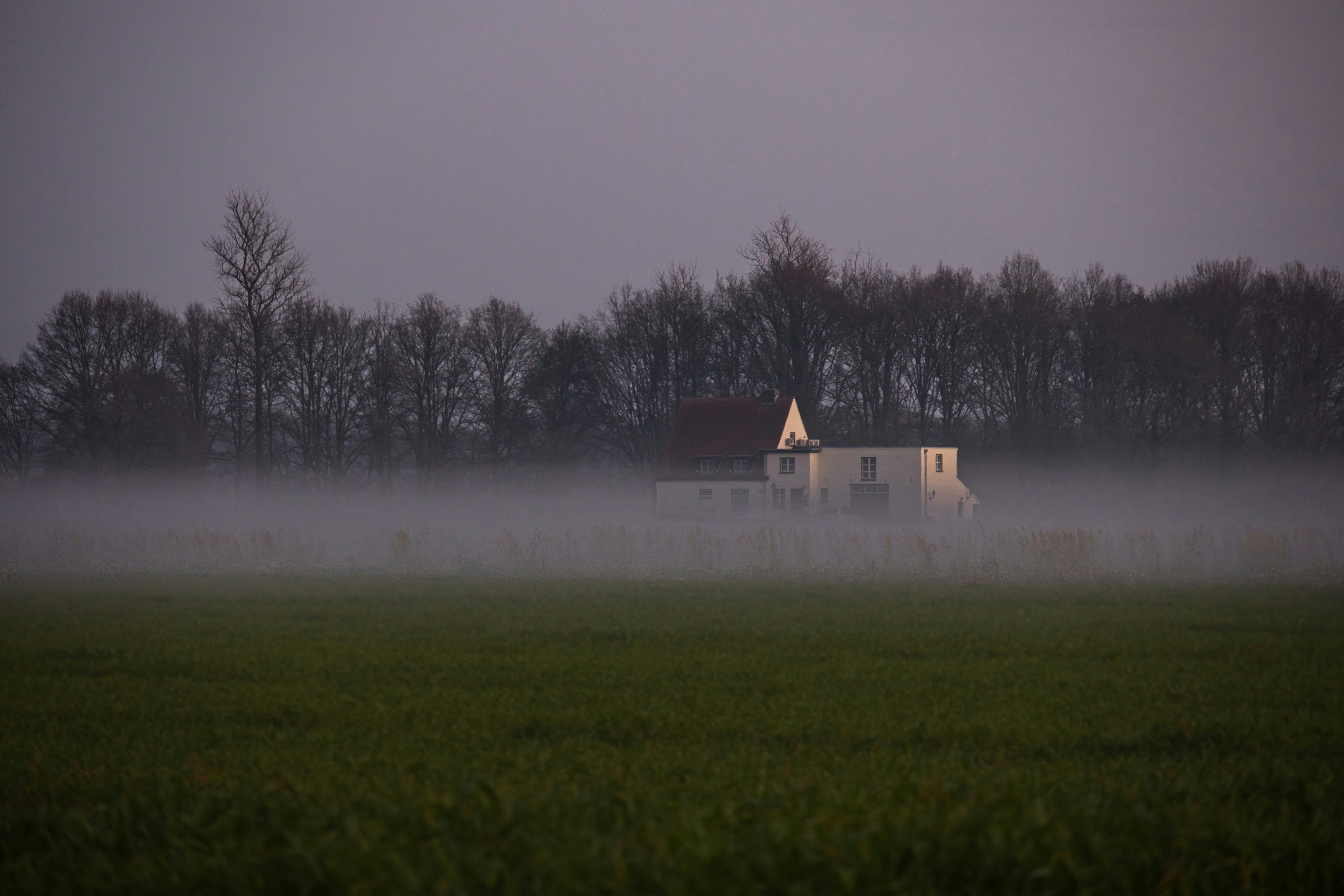 Mist-Carved House: A Quiet Home Quietly Emerges from the Fog