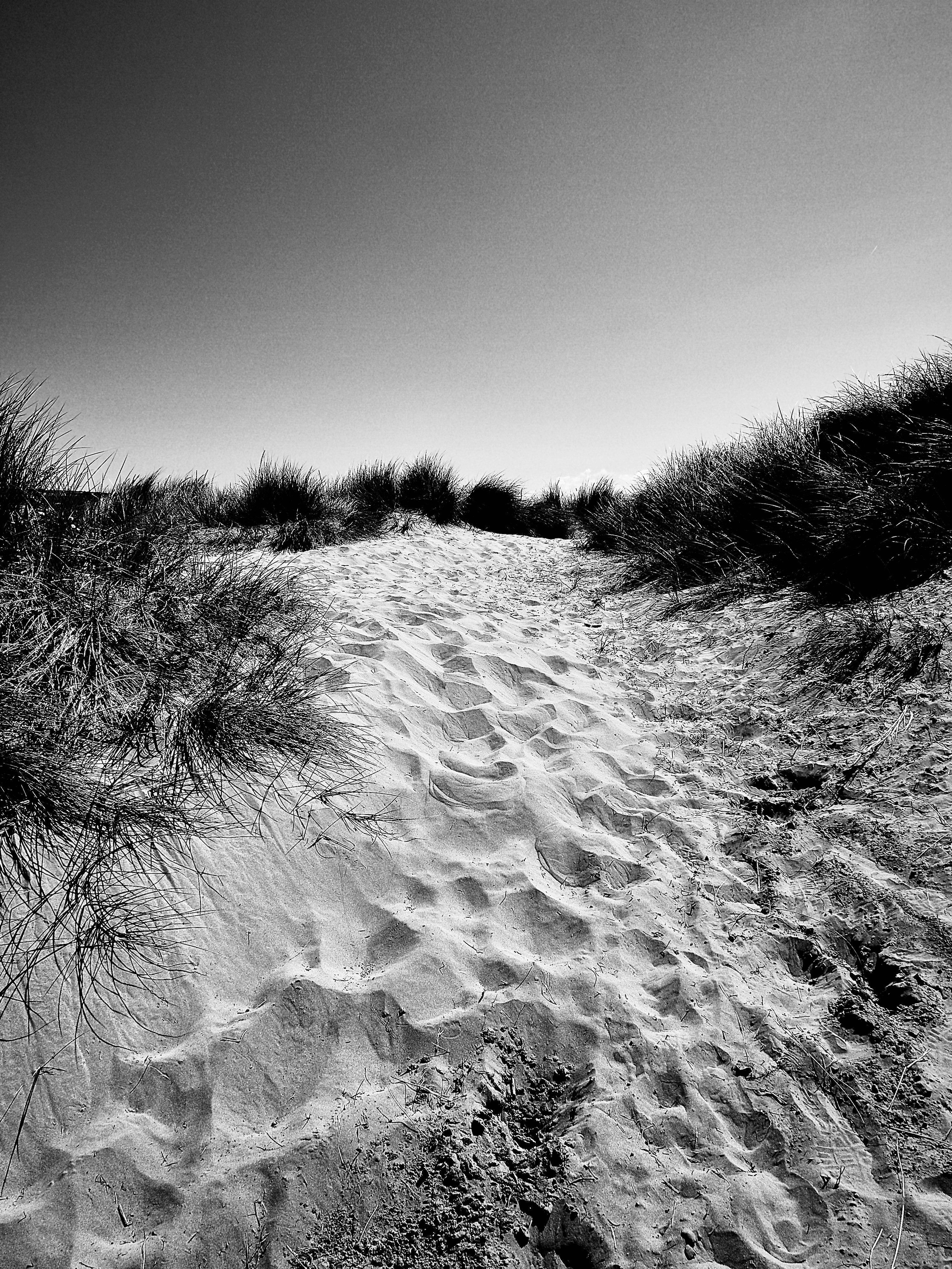 Footprints Through Dune Footpath to the Quiet Horizon