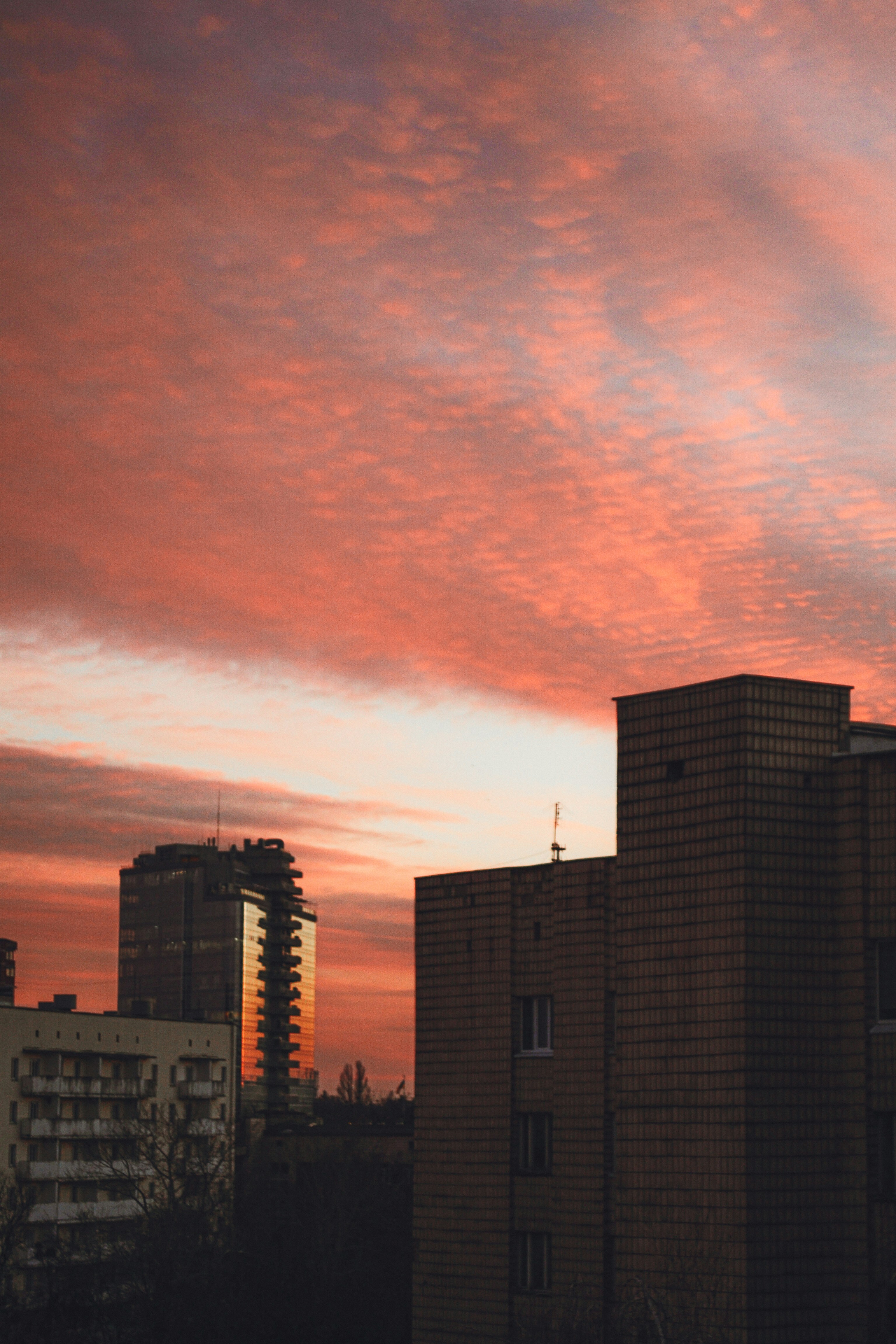 Crimson Skies Over the City: A Dusk Silhouette