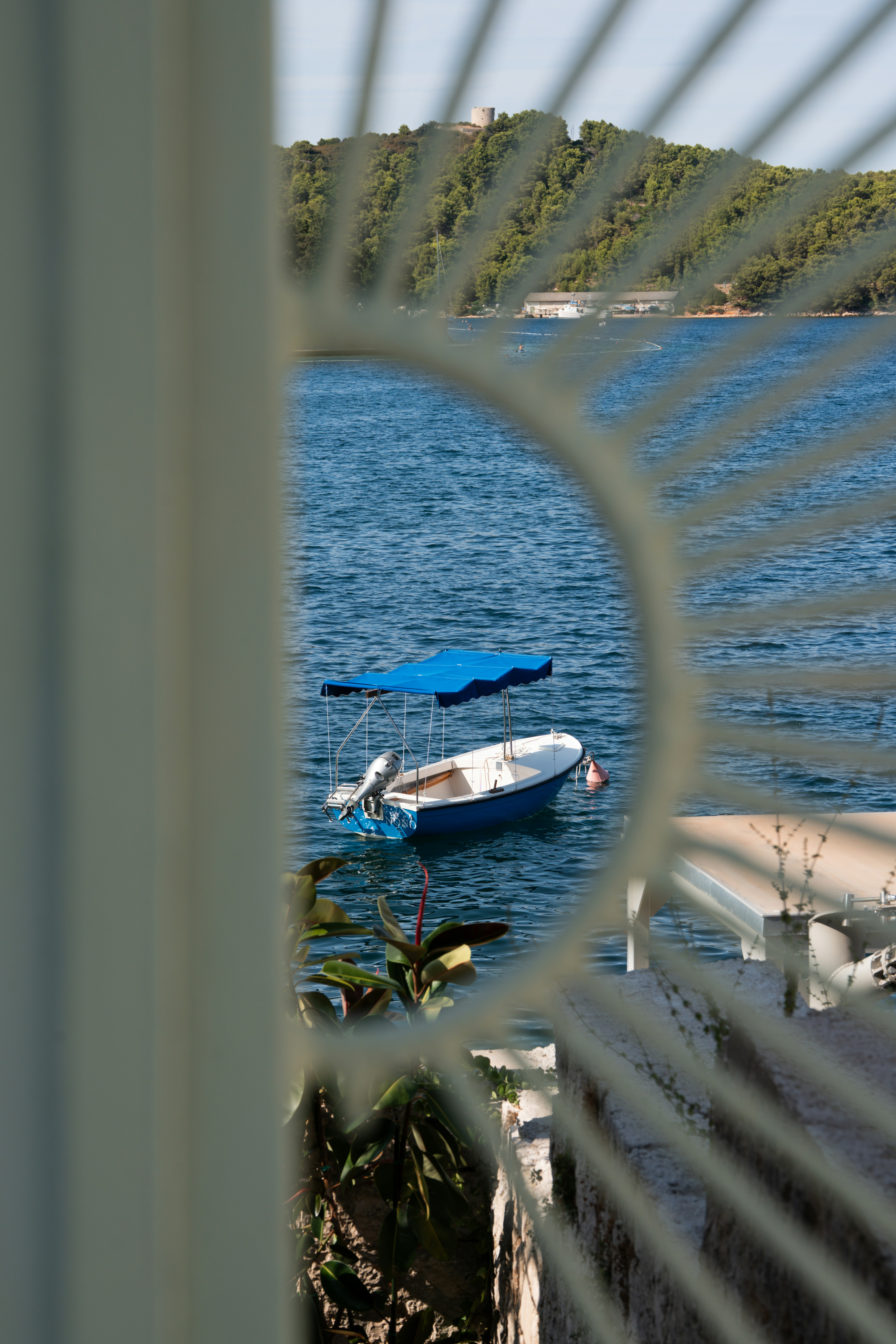 Blue-Canvassed Boat through Framing Foliage