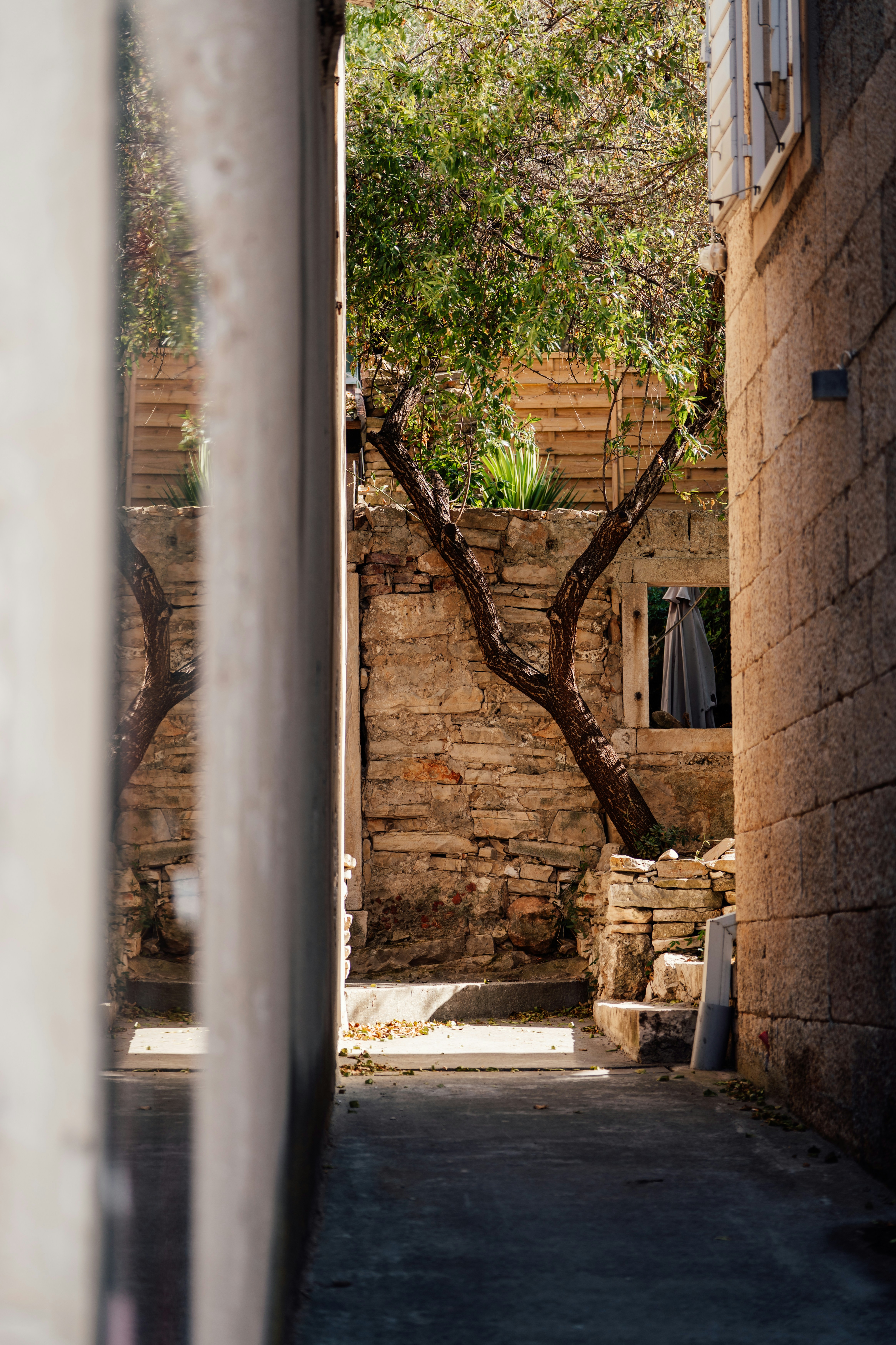 Limestone Alley: Sunlit Tree Framing Between Stone Walls