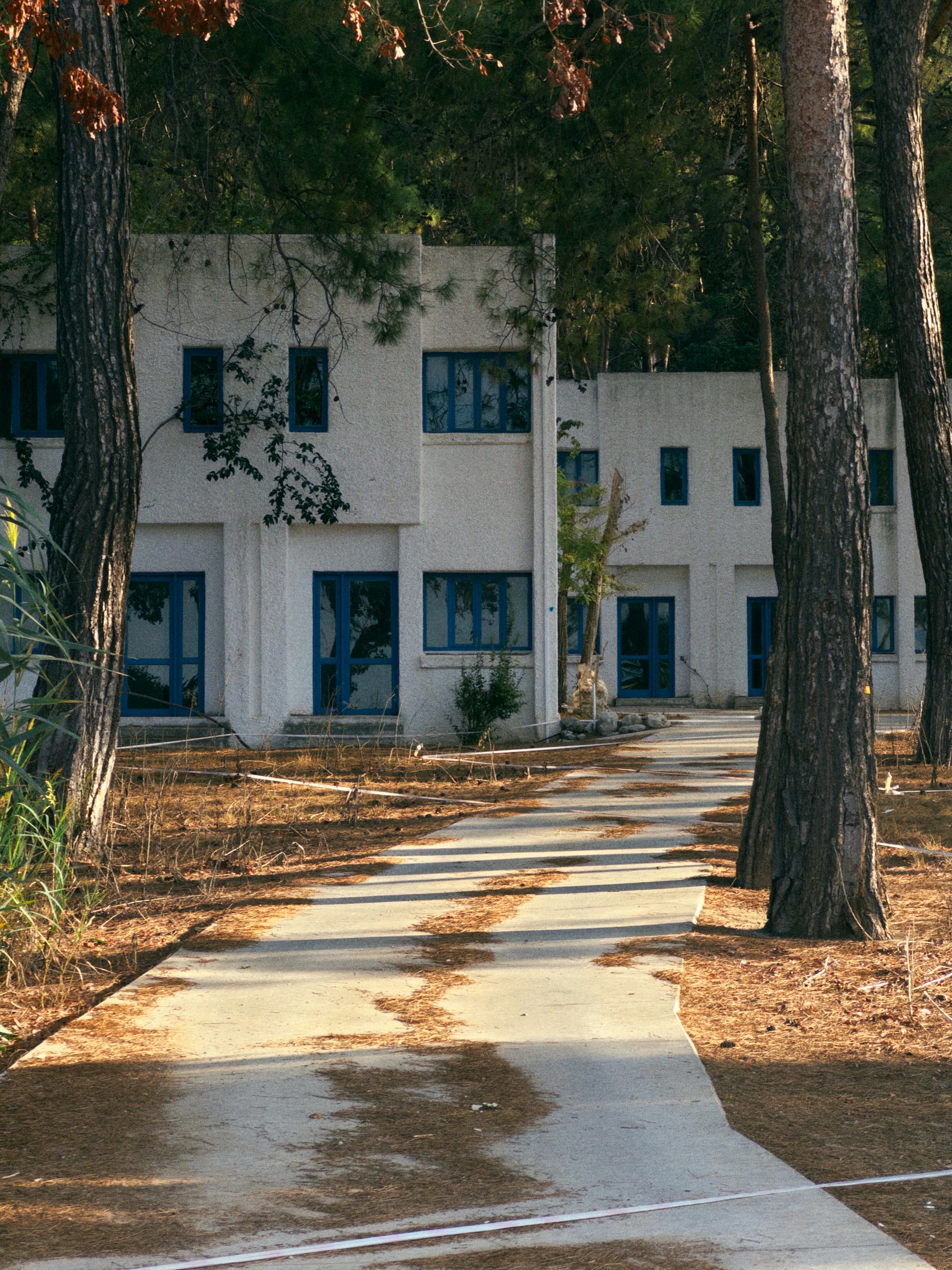 Pavilion of Pines: Modern White Buildings Framed by Tall Trees