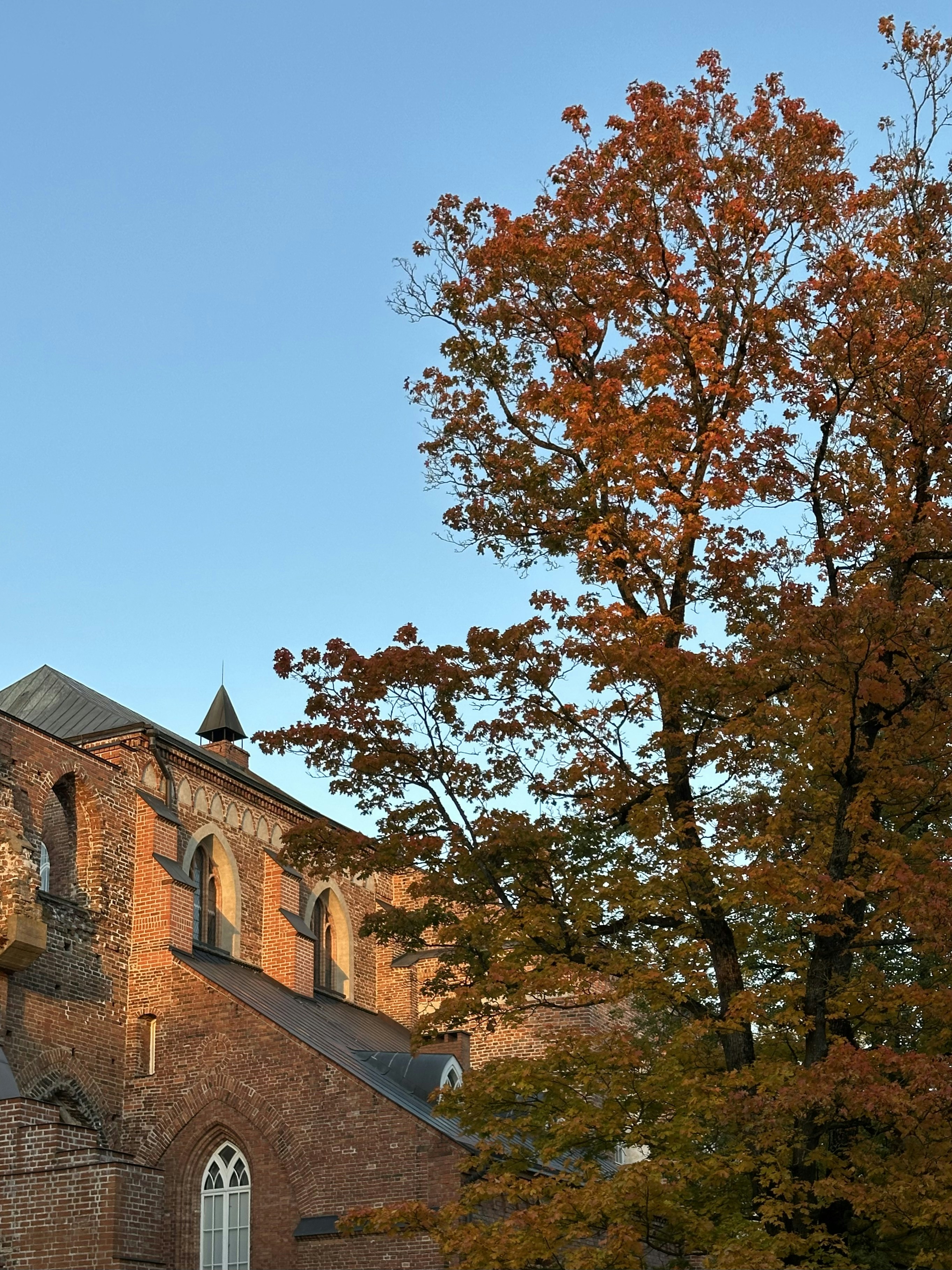 Autumn Brick Facade Under Blue Sky