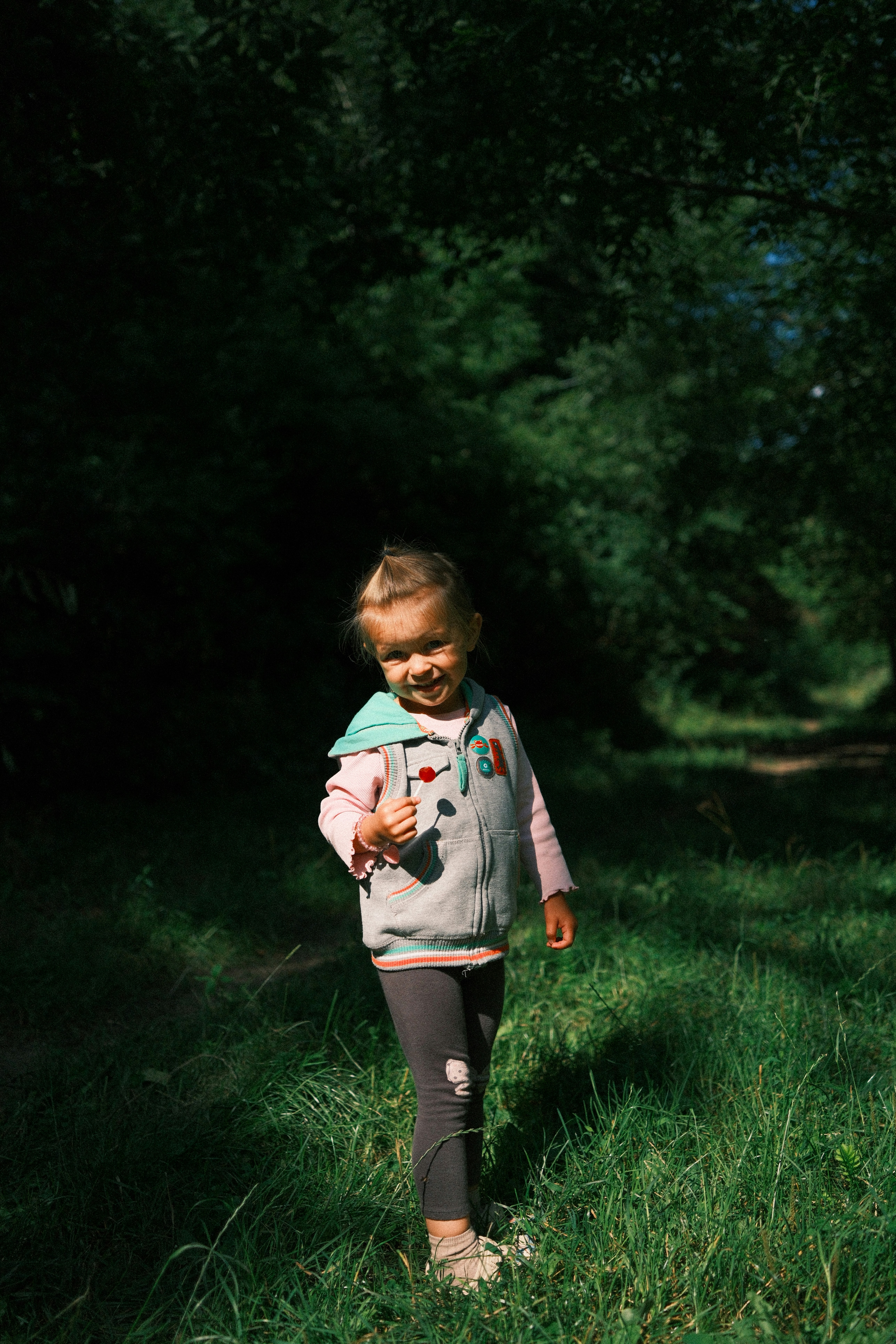 Sunlit Step: A Quiet Moment in the Meadow