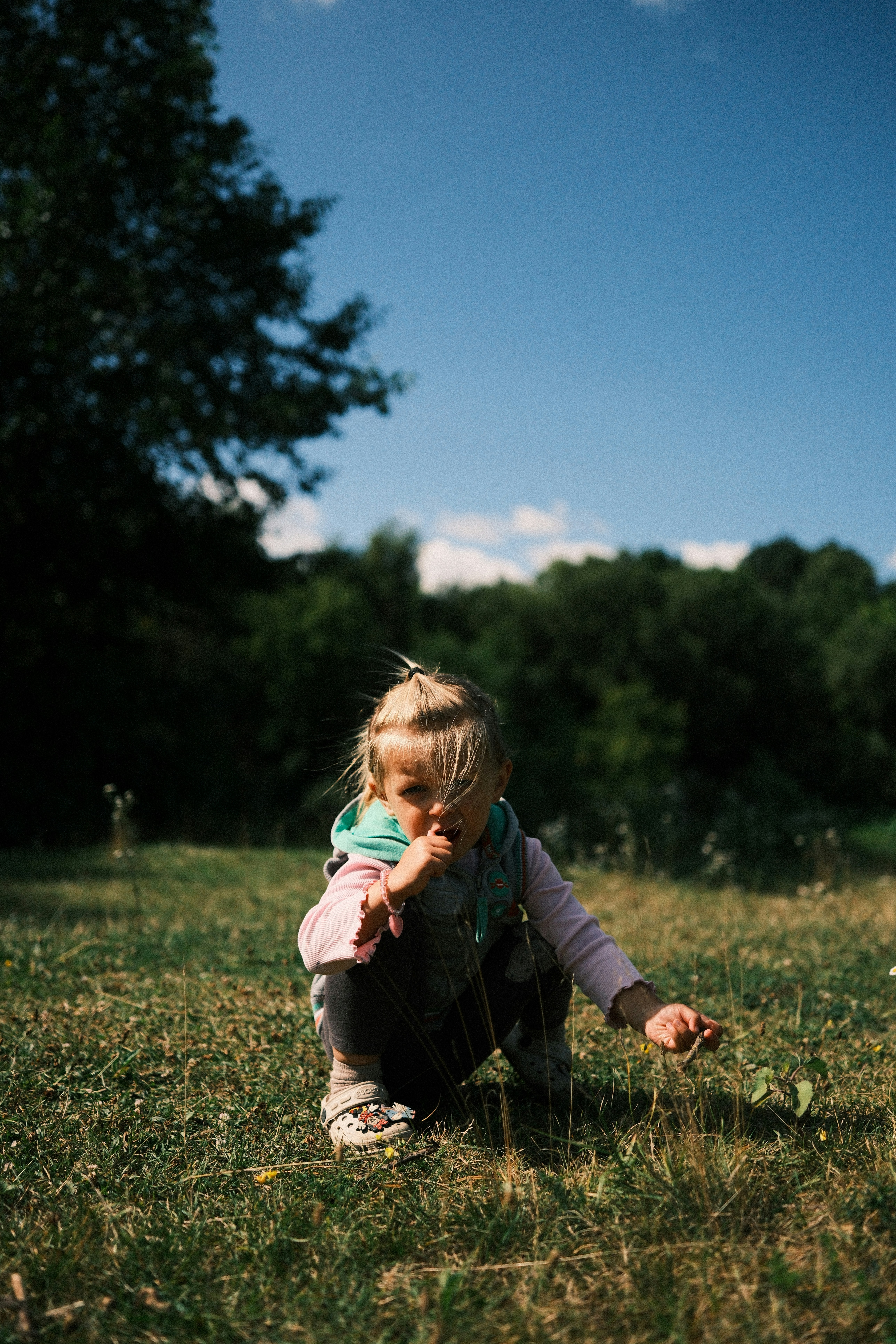 Tiny Explorer in a Sunlit Field