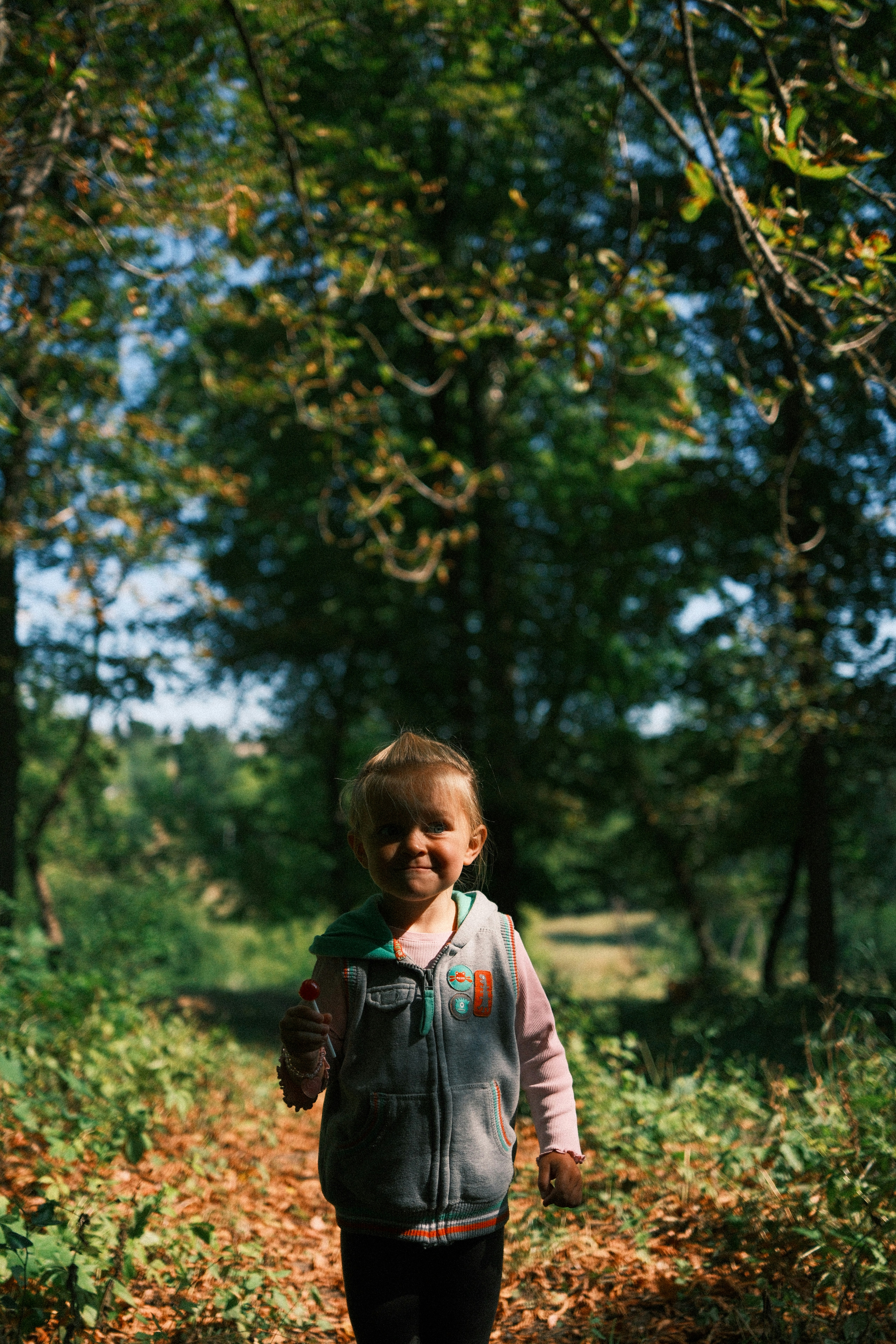 Child in a Sunlit Forest: A Tiny Explorer on a Leaf-Strewn Path