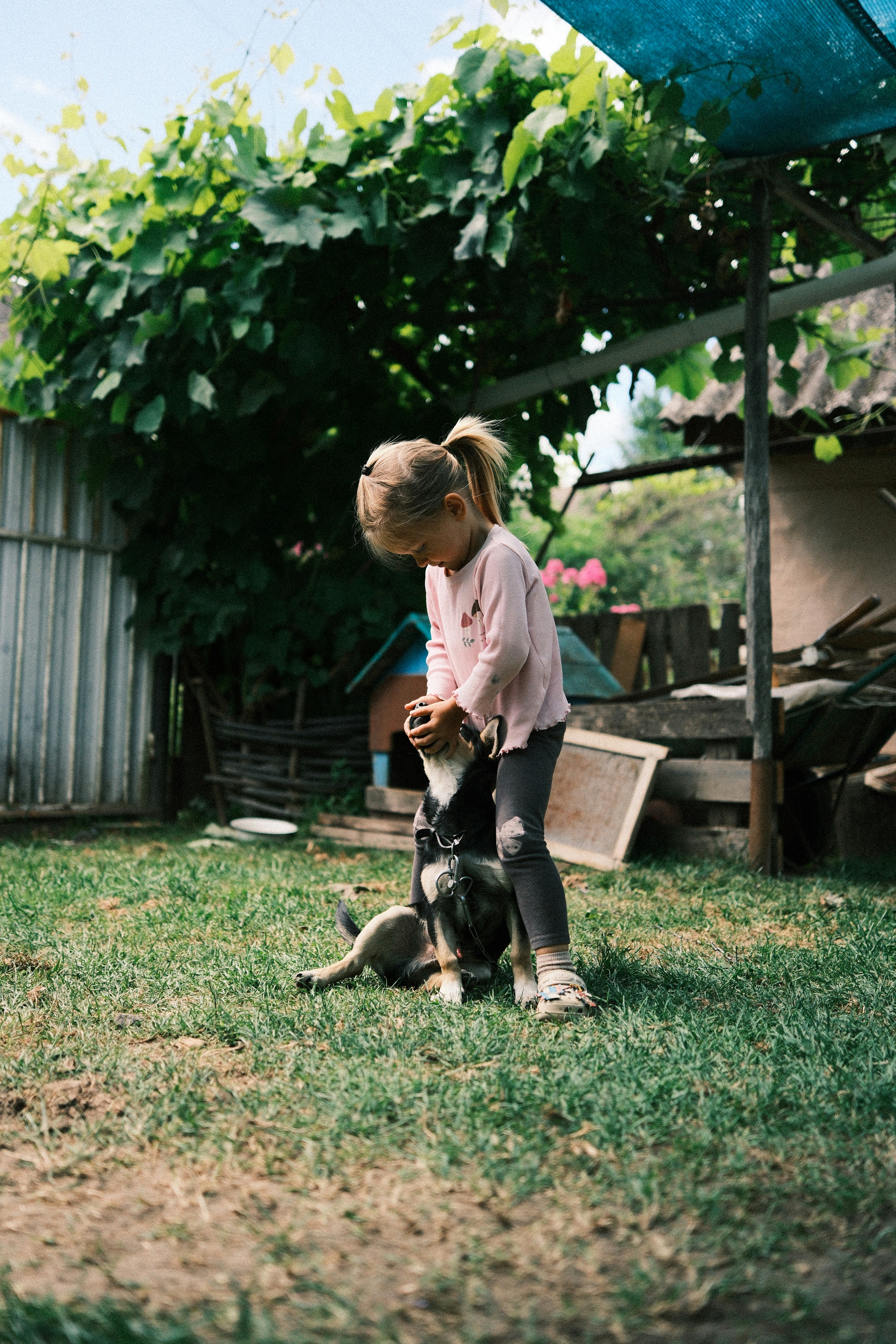 Little Gardener and Her Pup under a Green Canopy