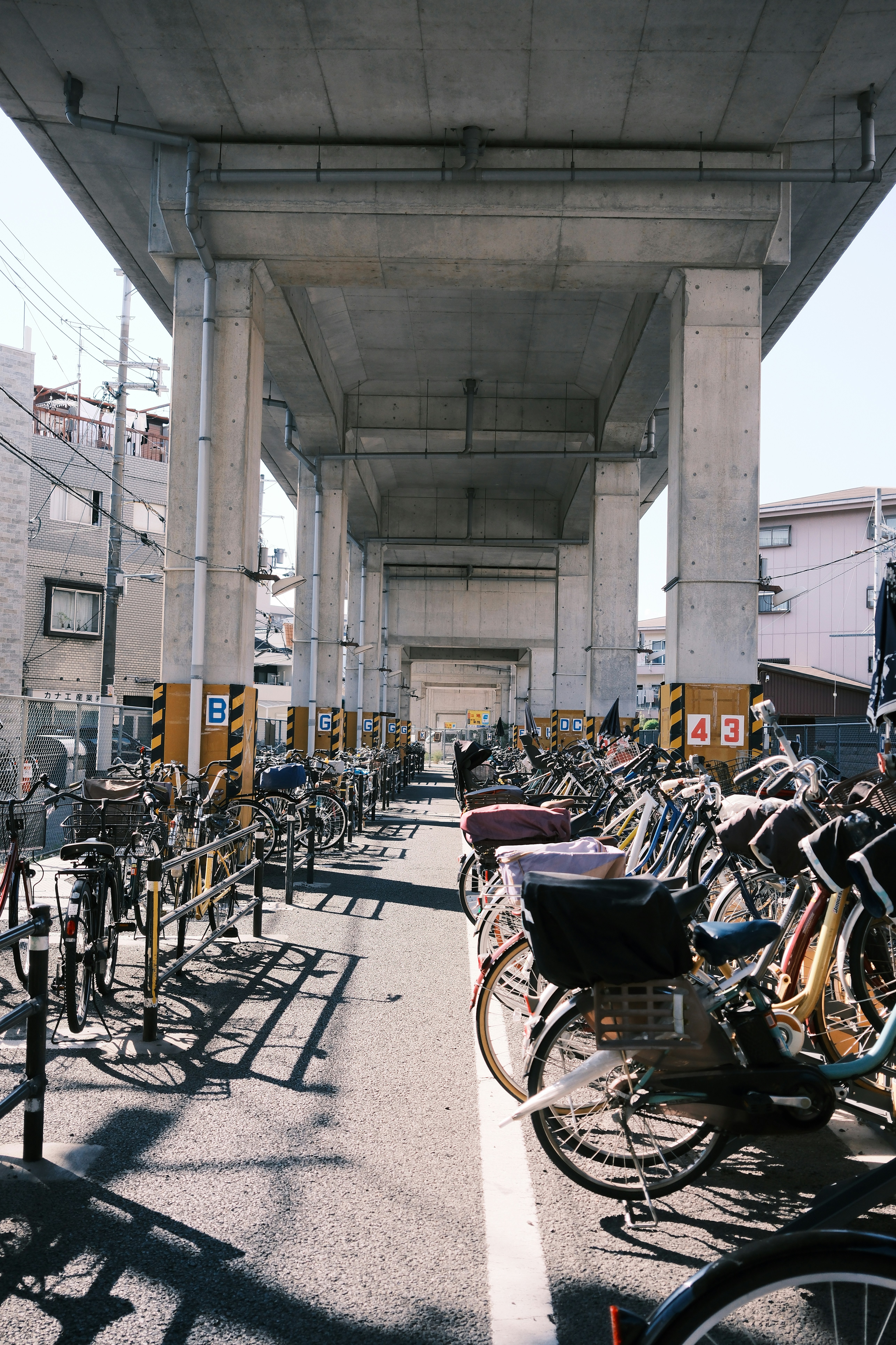 Concrete Corridor of Bicycles: Under an Urban Overpass