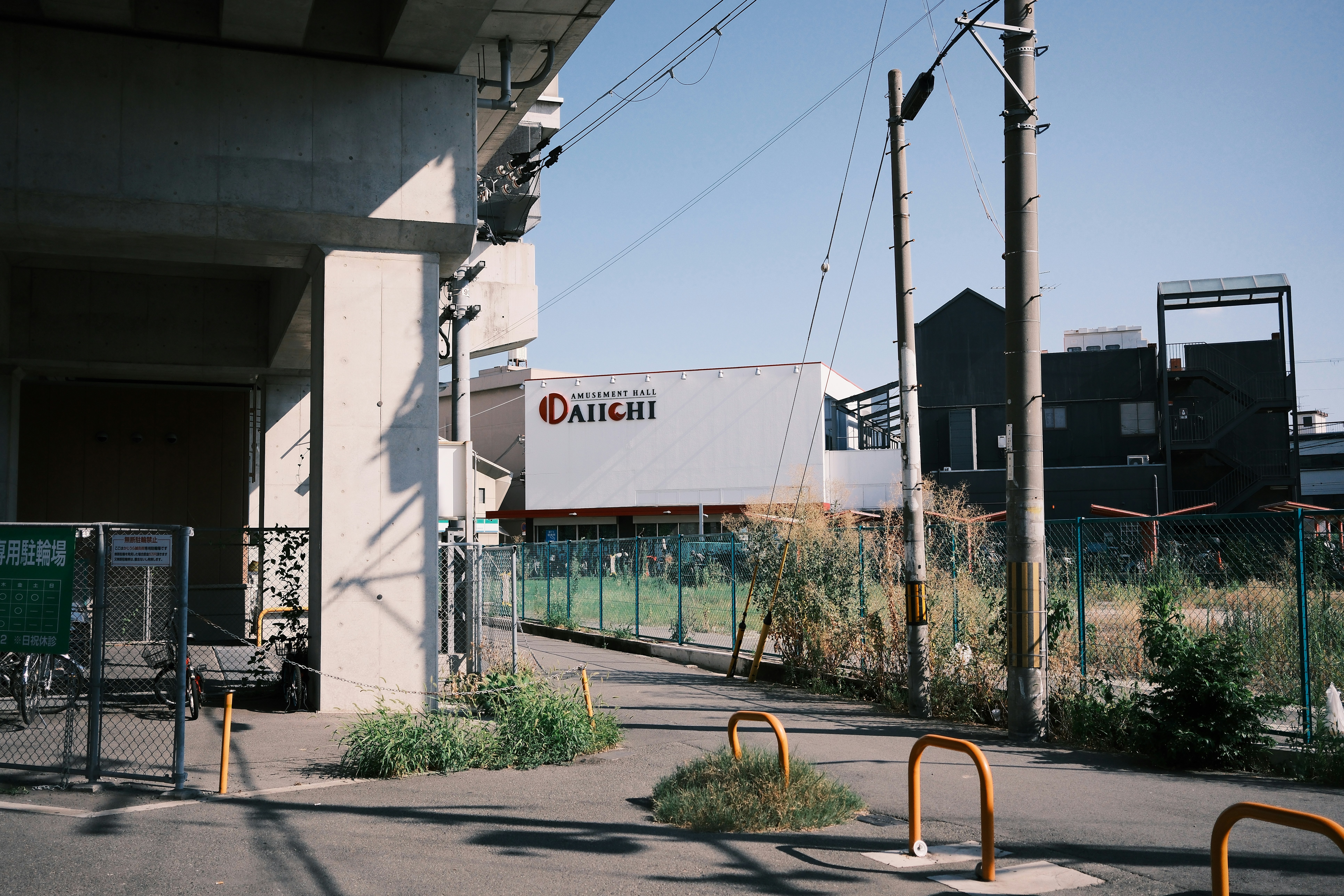 Under the Concrete Bridge: Quiet Urban Edge