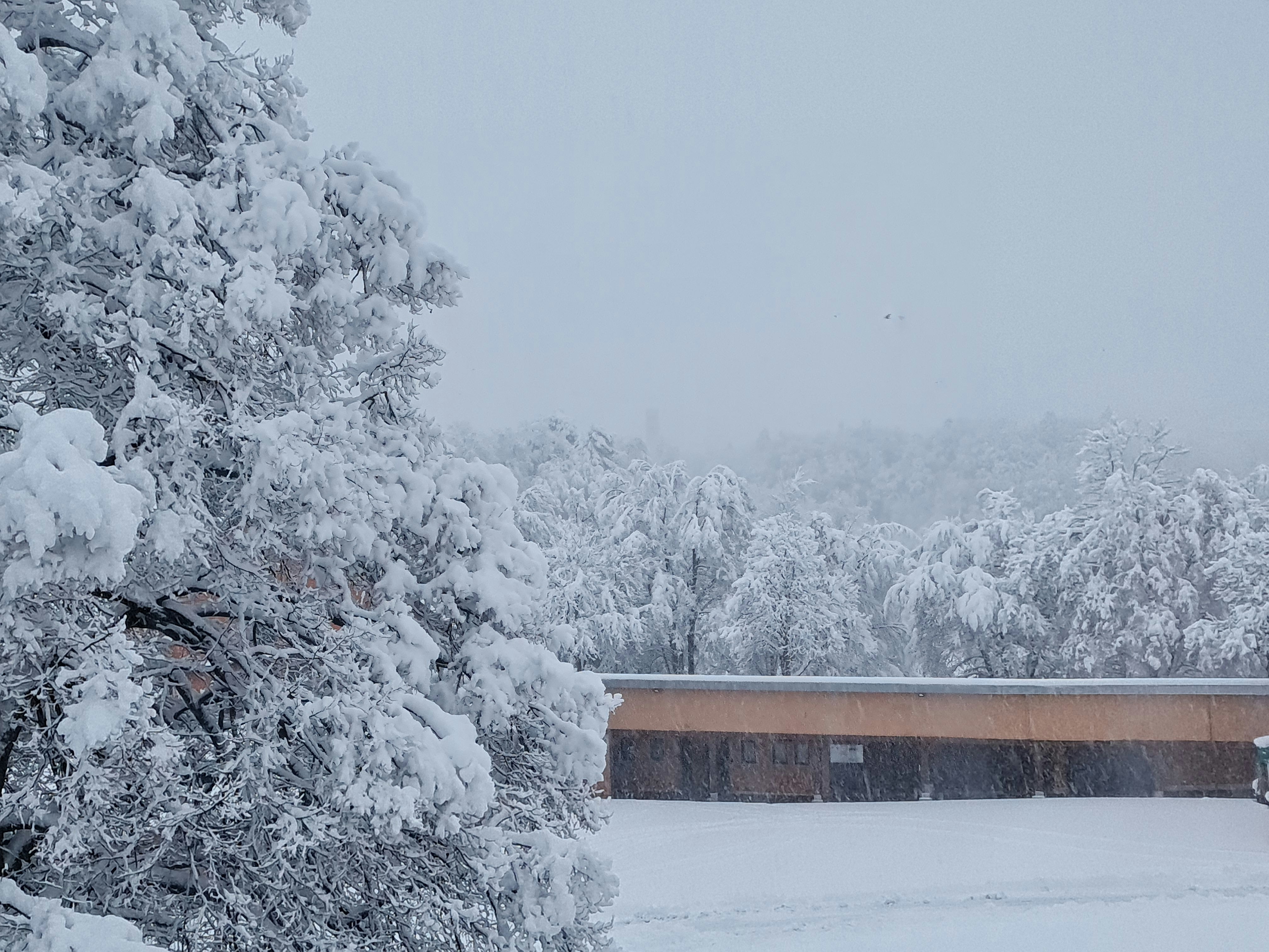Snowbound Studio: A Quiet Winter Crest