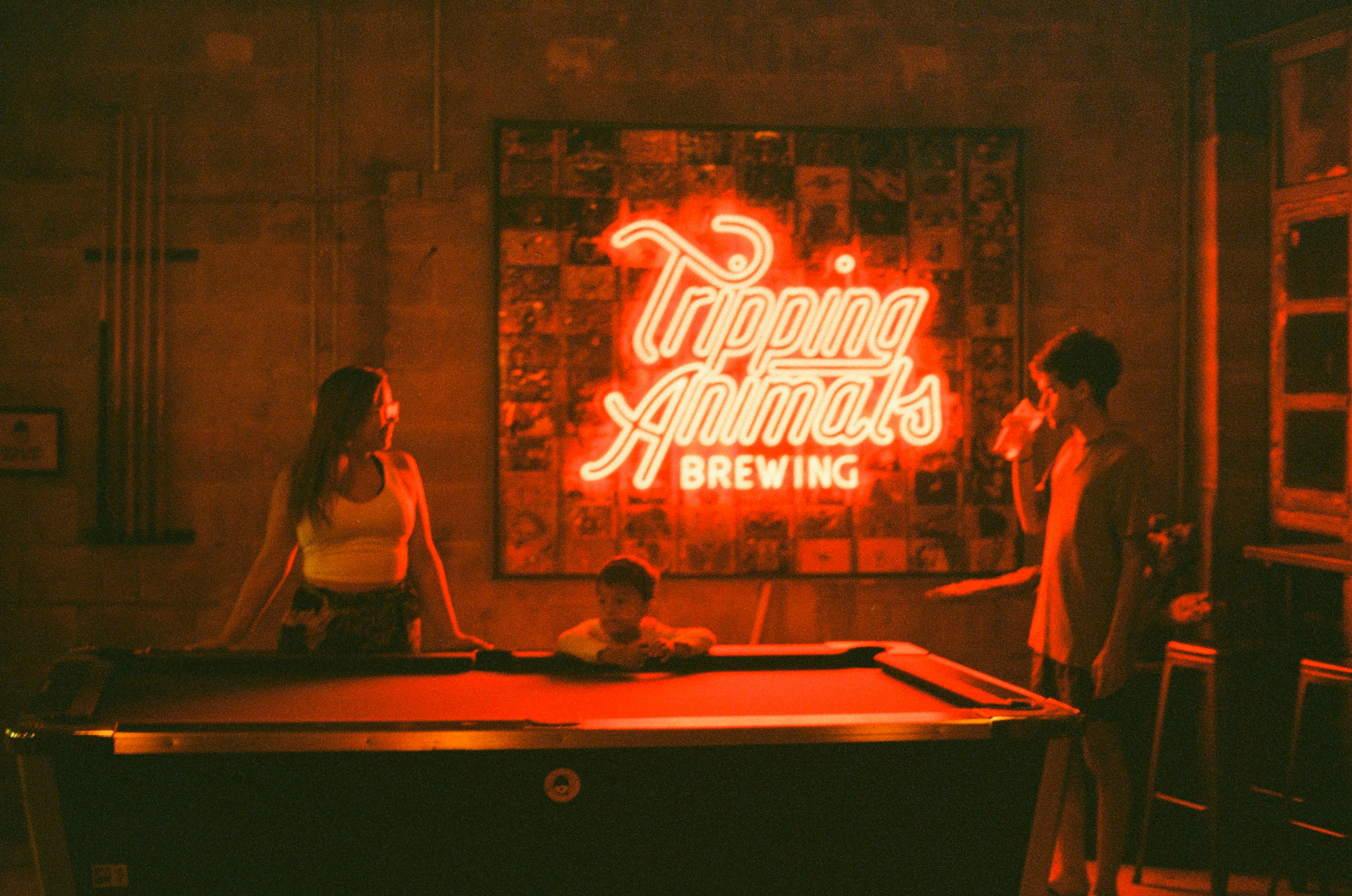 Neon Quiet at Tidepool Tavern