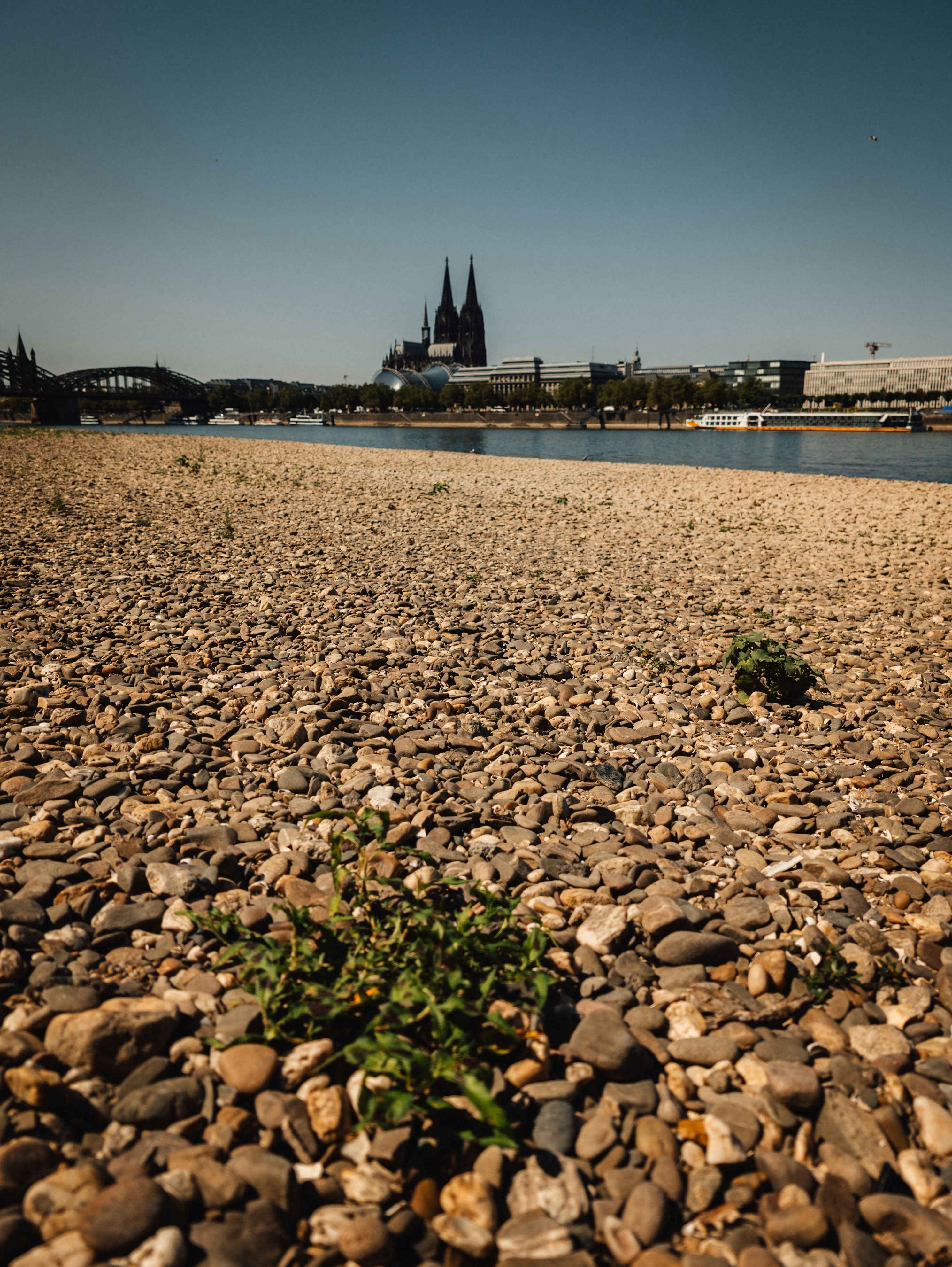 Pebble Beach Panorama: Urban Cathedral on the Riverside Horizon