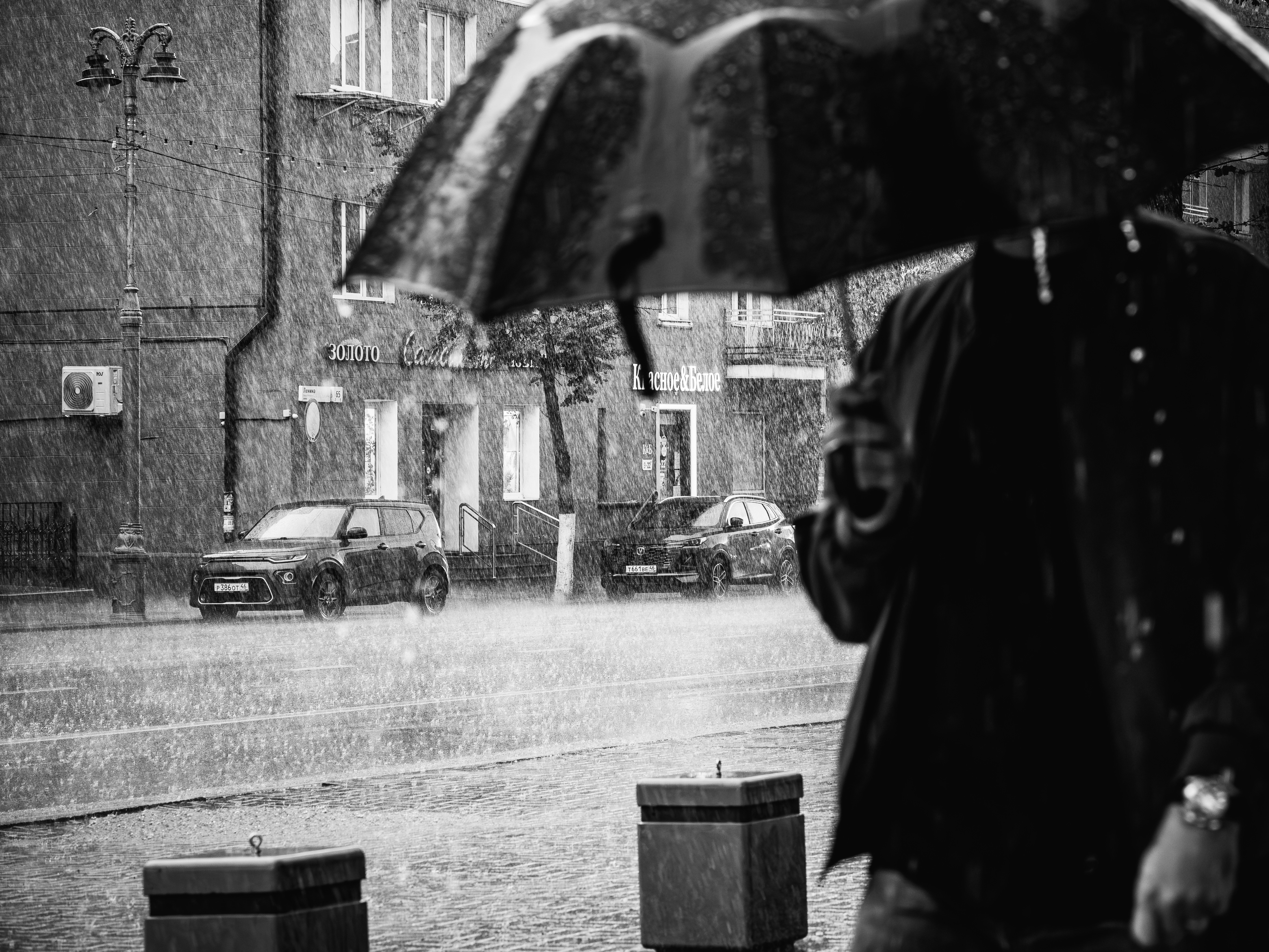 Rainy Street Portrait under a Stormy Umbrella