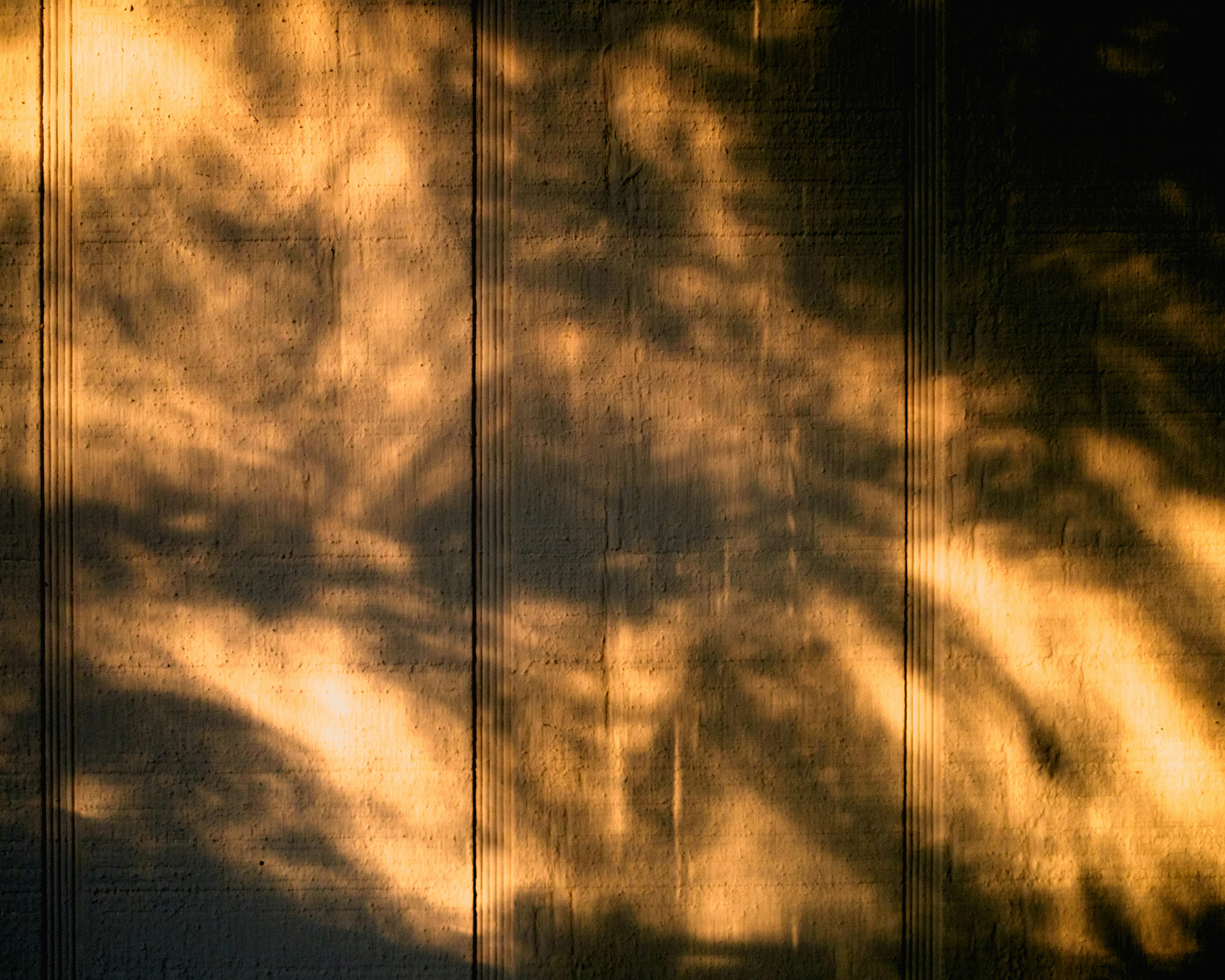 Soft, golden shadows drift across a dark wooden surface, with vertical planks visible beneath. A warm, natural texture emphasizes light filtering through foliage; no recognizable subject present. This is a photographic capture of ambient lighting on a wall/wood surface.