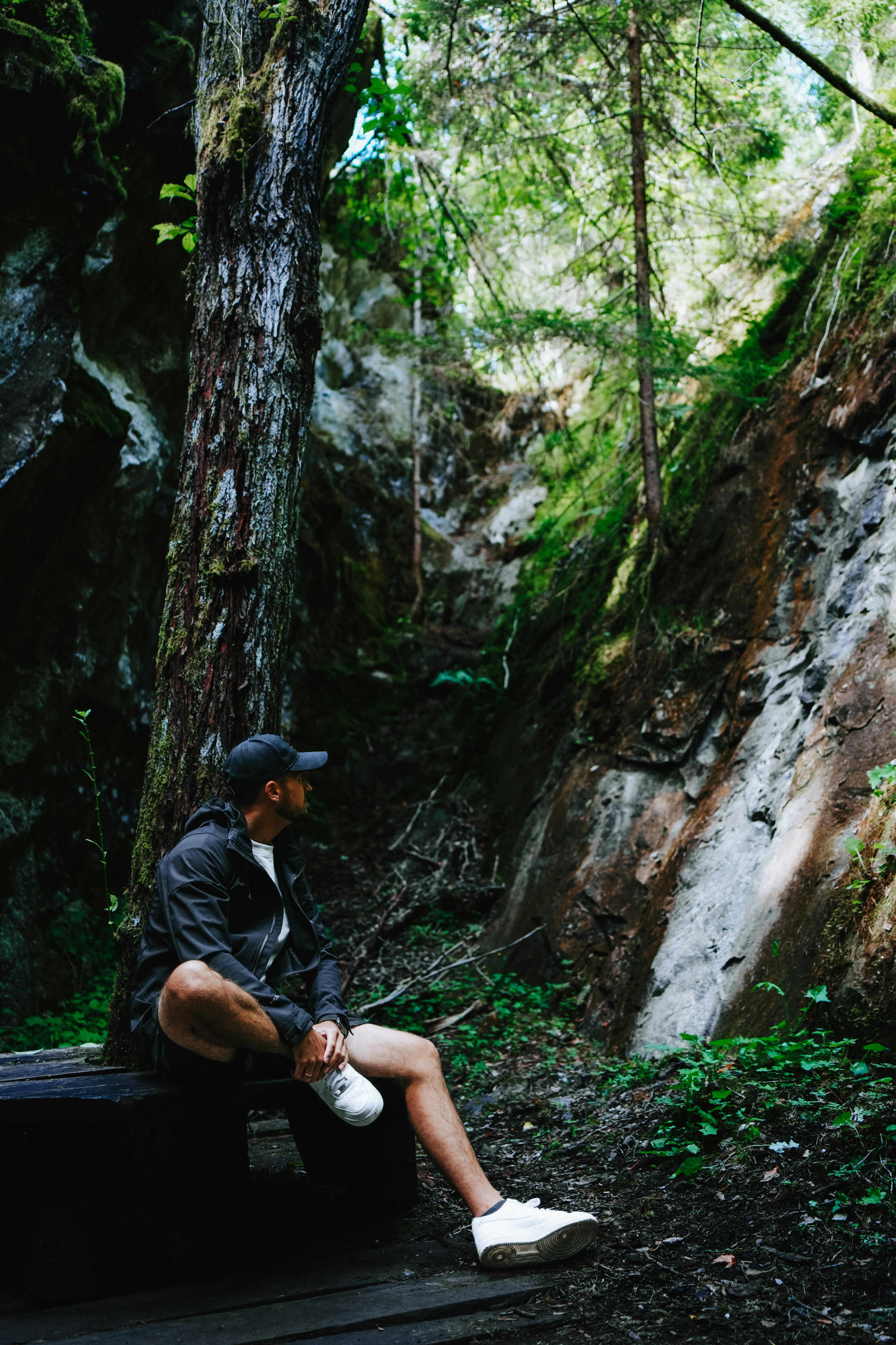 Forest Bench: A Quiet Pause Amid Moss and Rock