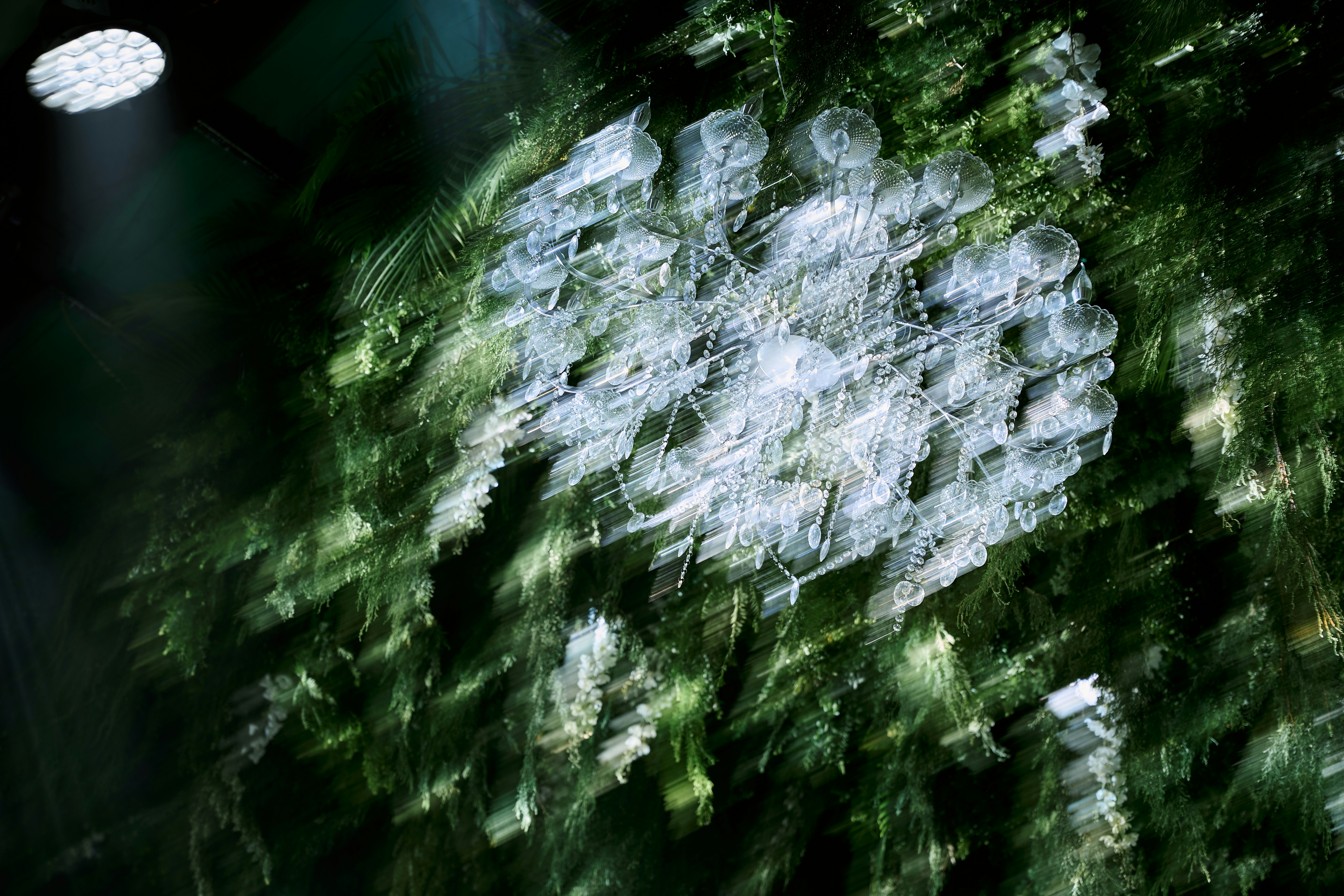 Blurred Crystal Bloom under Night Canopy