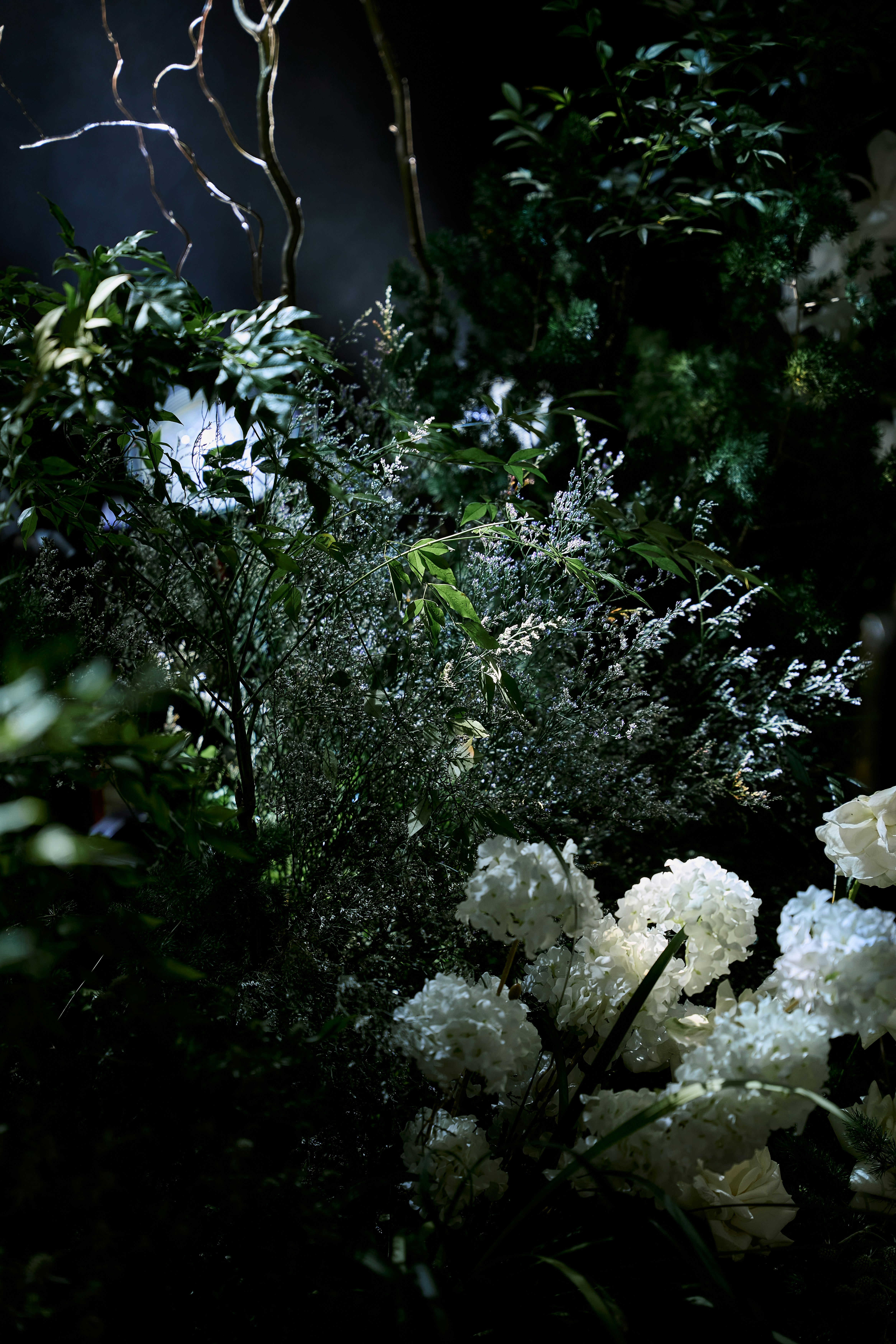 Moonlit Floral Cascade in a Shadowed Courtyard