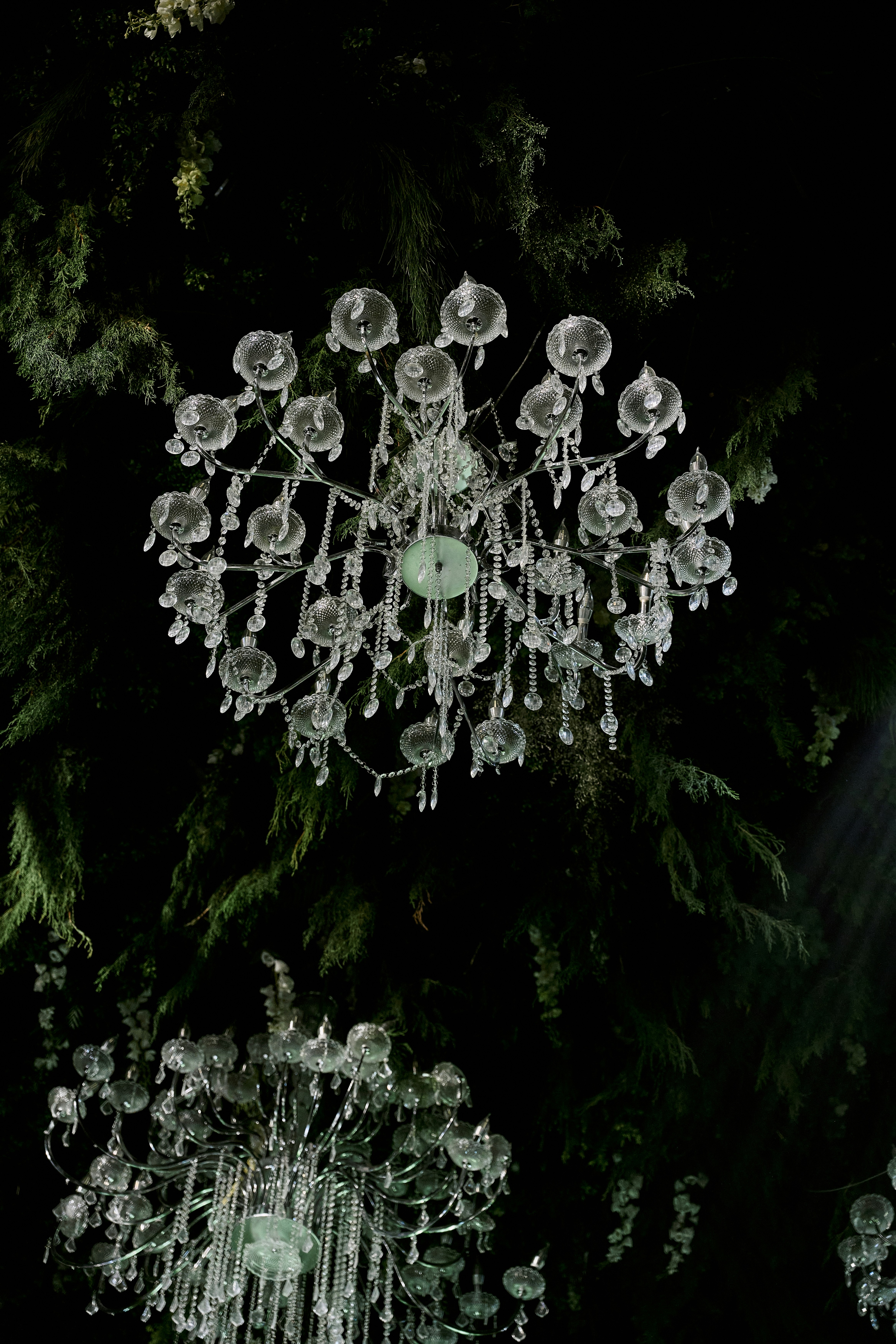 Crystal Chandeliers in a Dark Canopy