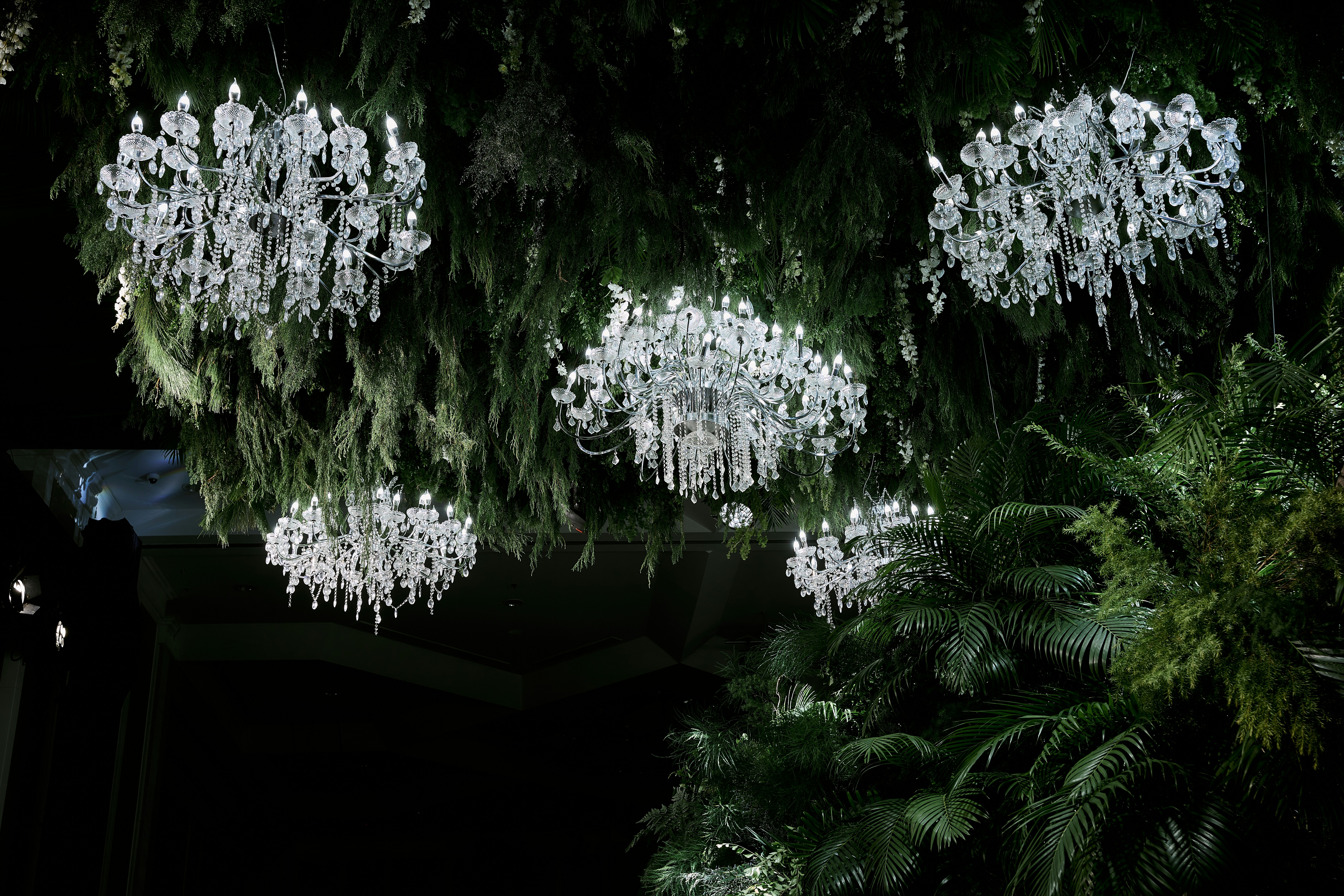 Crystal Orbs Beneath Verdant Canopy