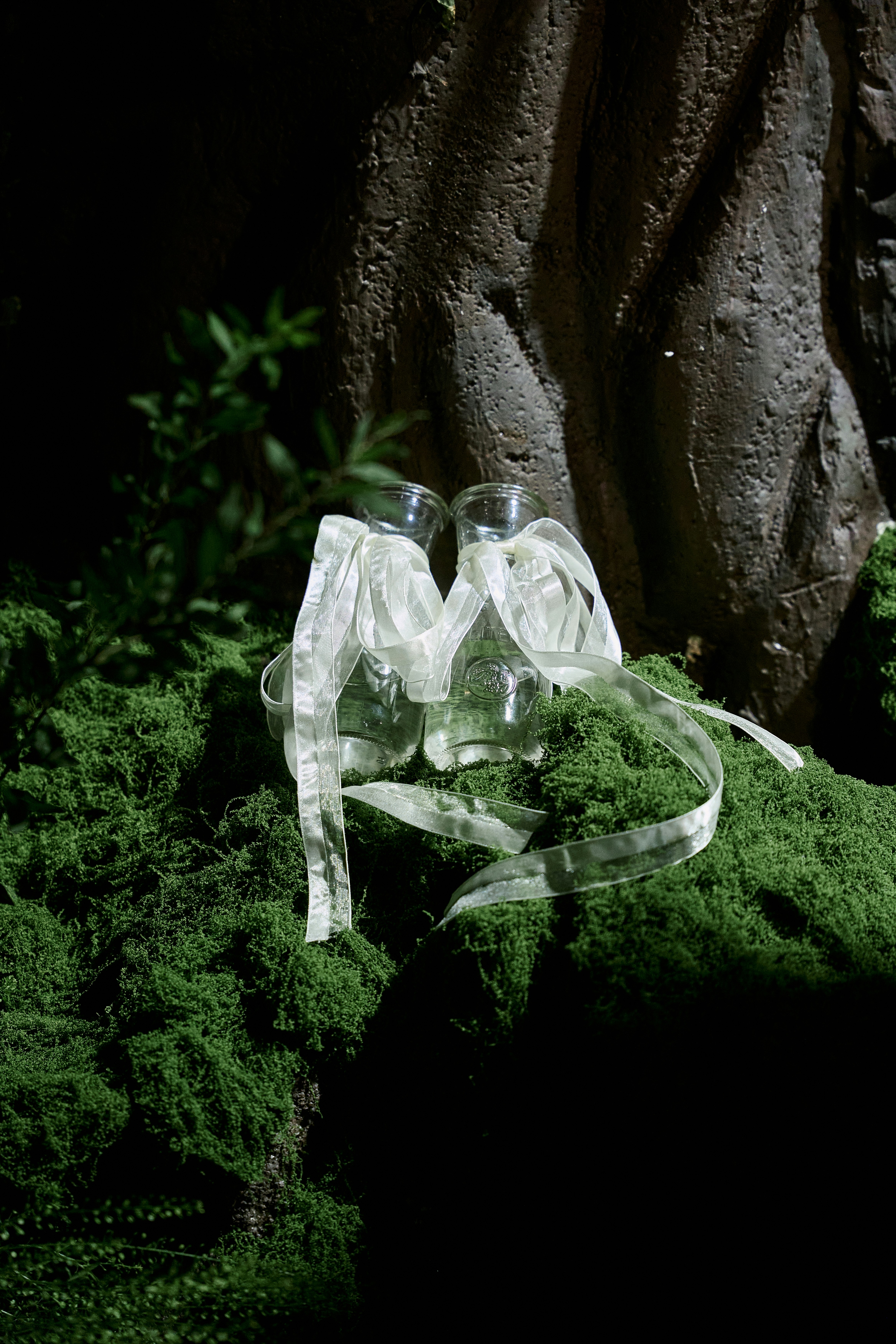 Glass Bottles and Ribbon in a Mossy Hollow