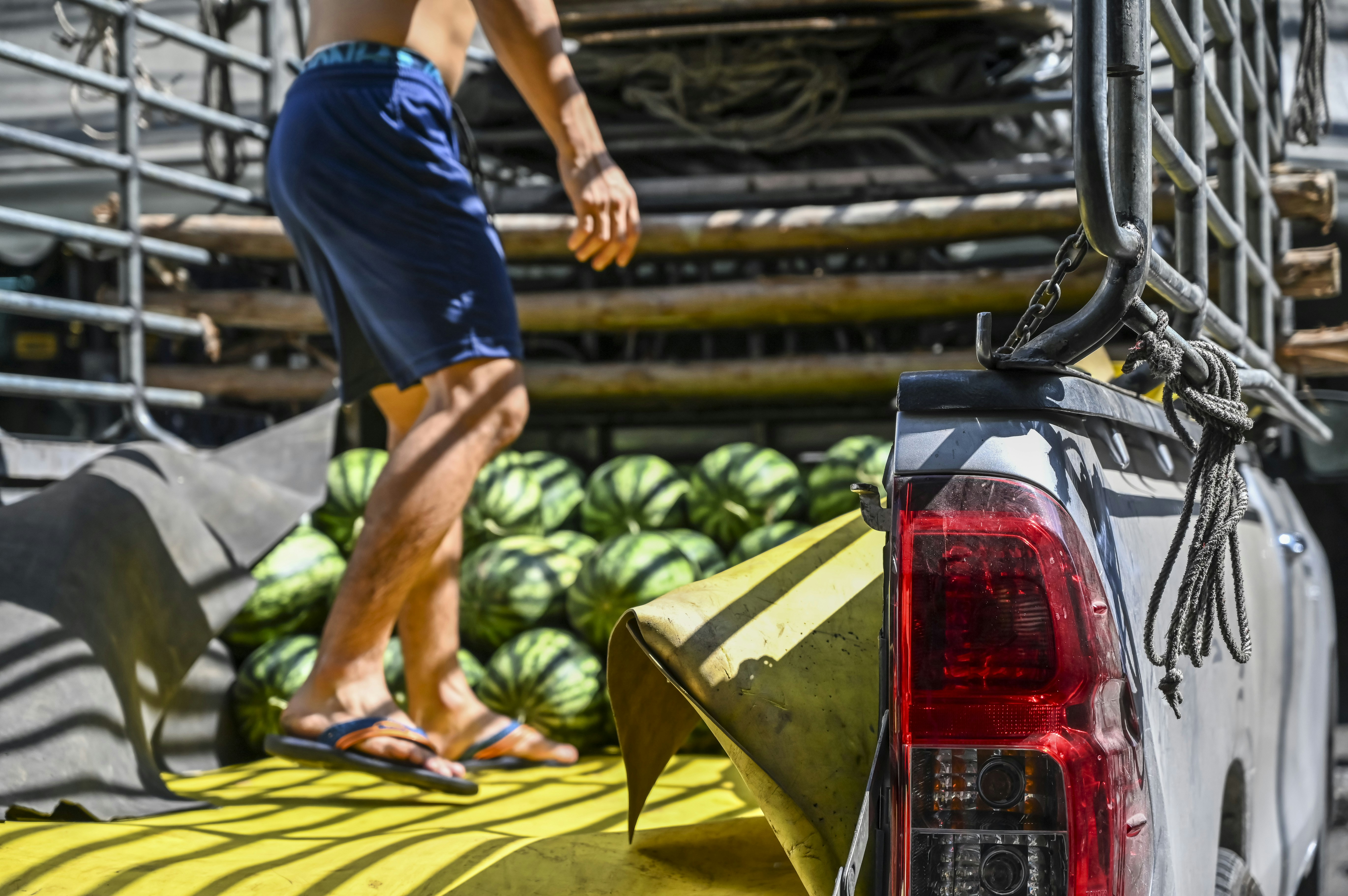 Crewman on a Loaded Truck Bed: Watermelons and Equipment in Motion