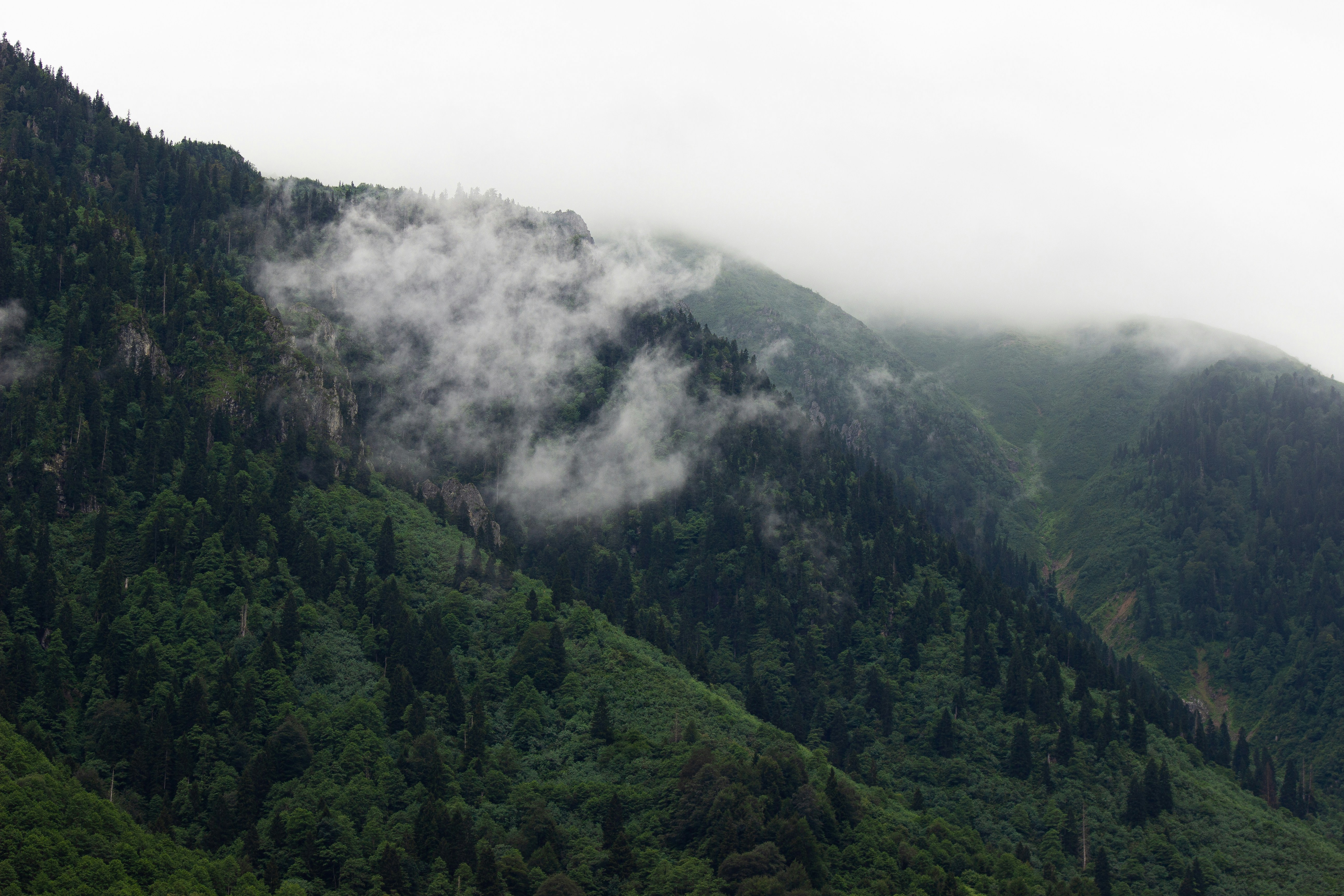 Mist Draped Peaks: A Quiet Ridge Hidden in Clouds