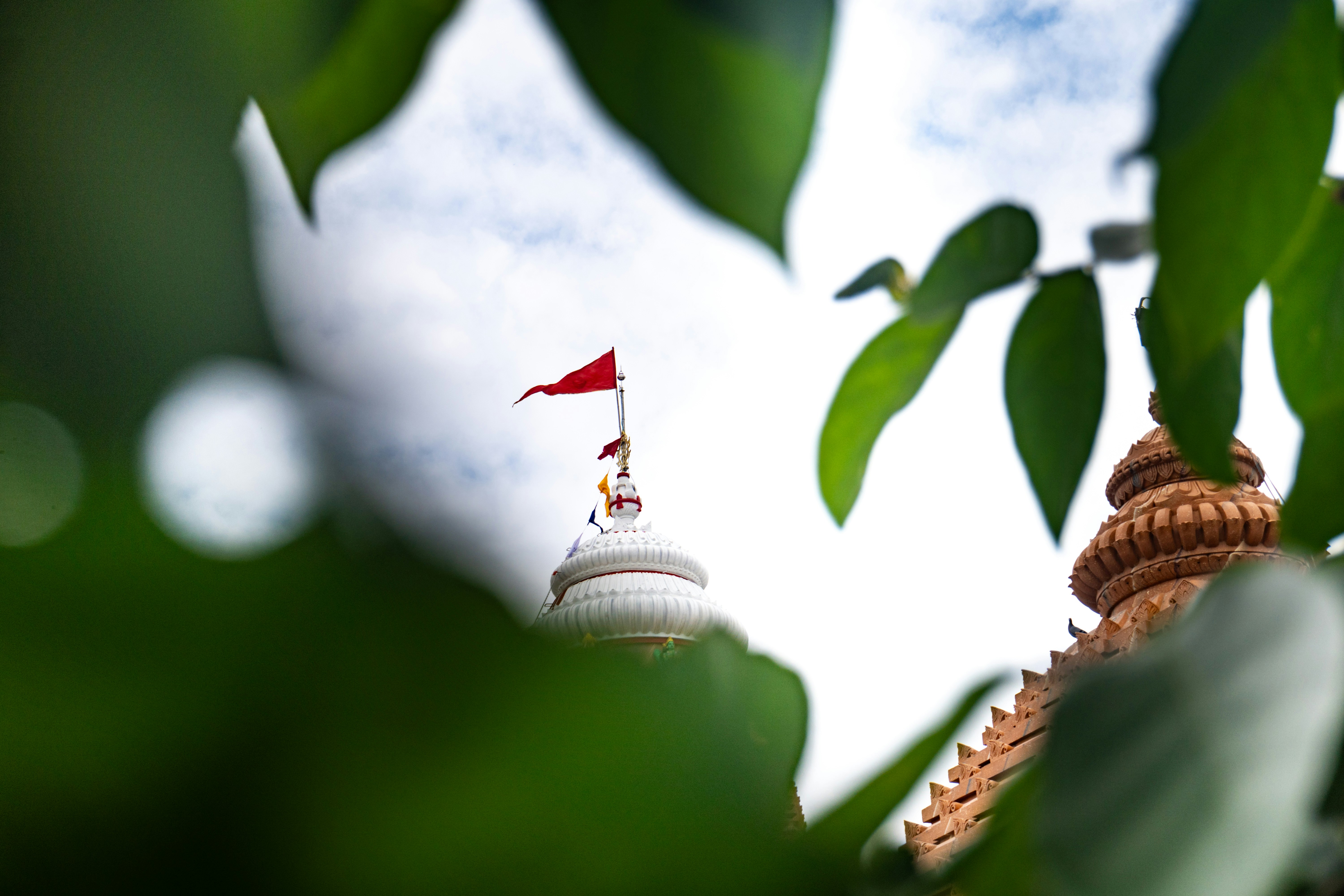 Flag atop a distant temple tower peeks through lush greenery