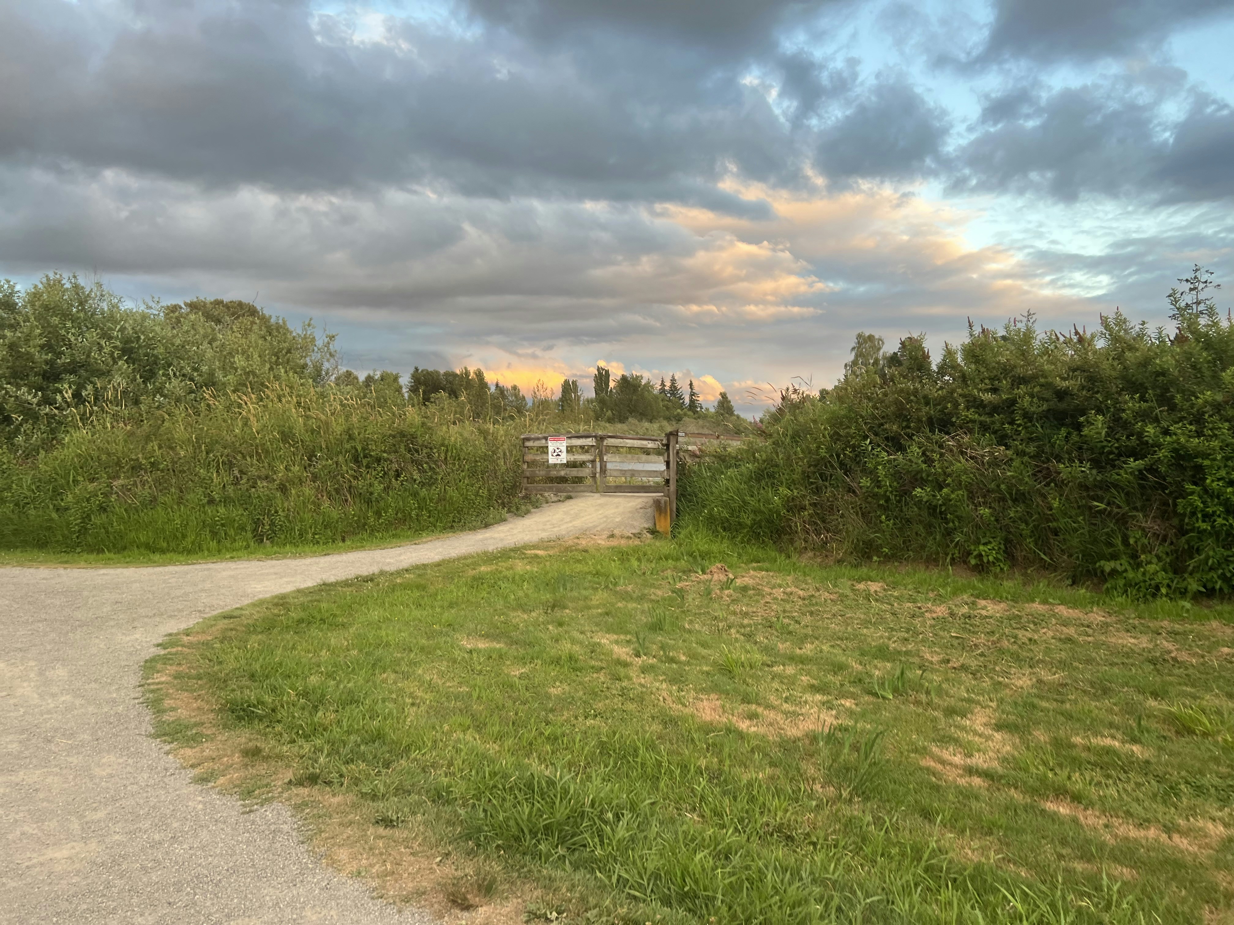 Trail leading to a wooden gate with a grassy path, shrubs on either side, and a dramatic sky; outdoors scene with natural light and a hint of late-day warmth.