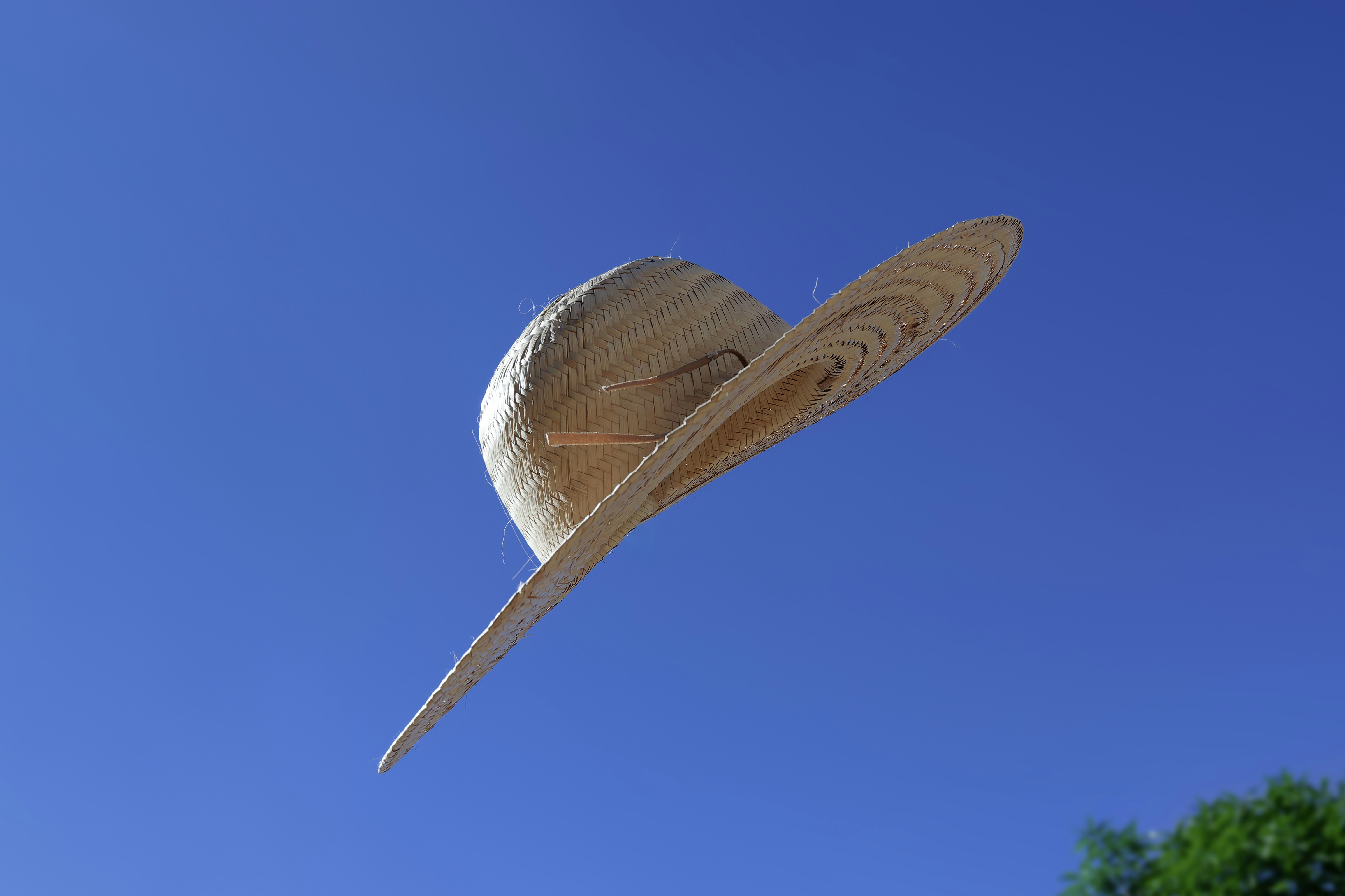 Soaring Straw: A Lone Panamahat Hovering in a Brilliant Sky