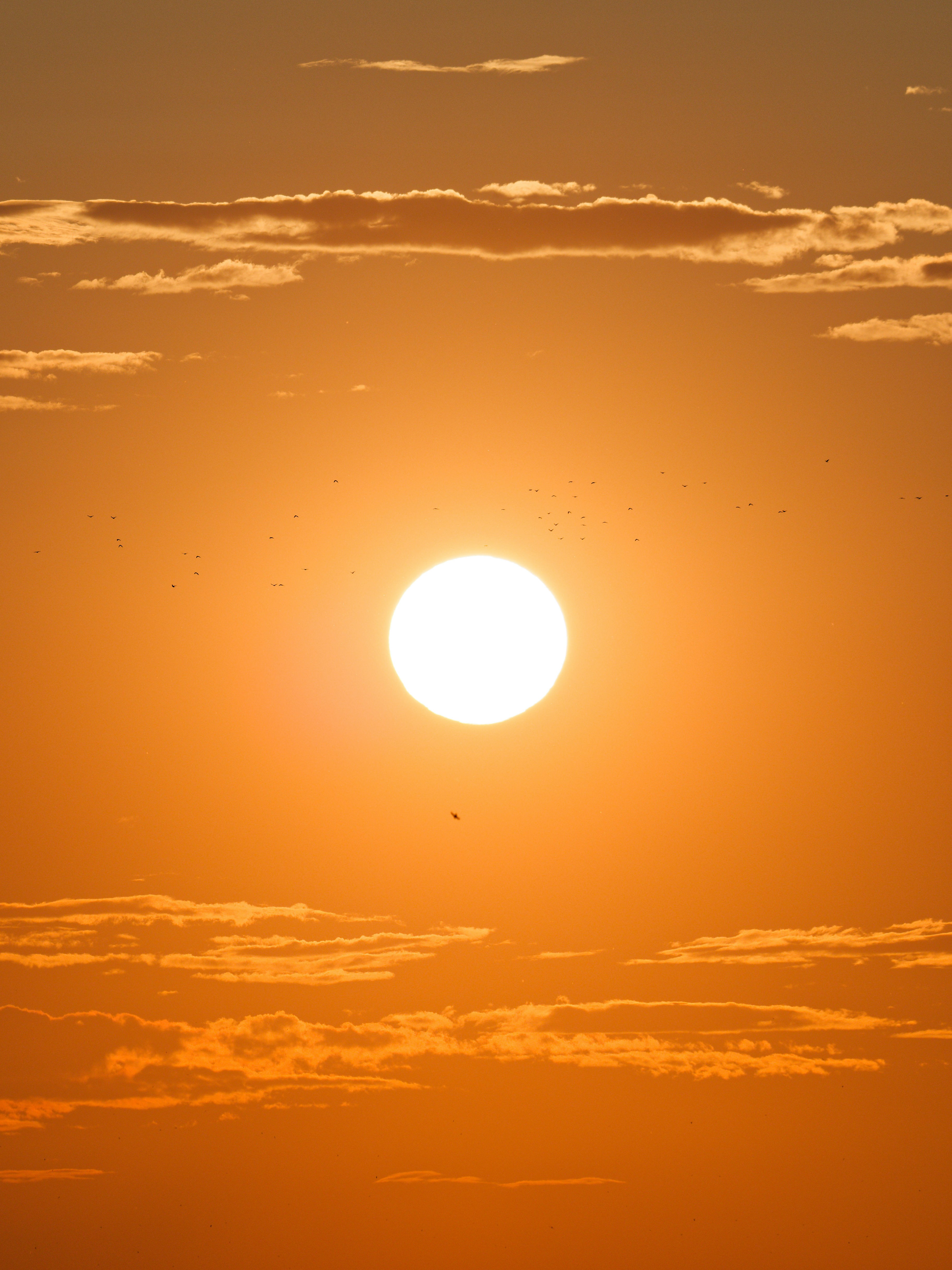 Vivid orange sunset with a bright sun centered above a calm horizon, minimal silhouettes and wispy clouds across the sky. A photographic capture of the sun’s glow at golden hour, with emphasis on color and low detail in distant atmosphere.