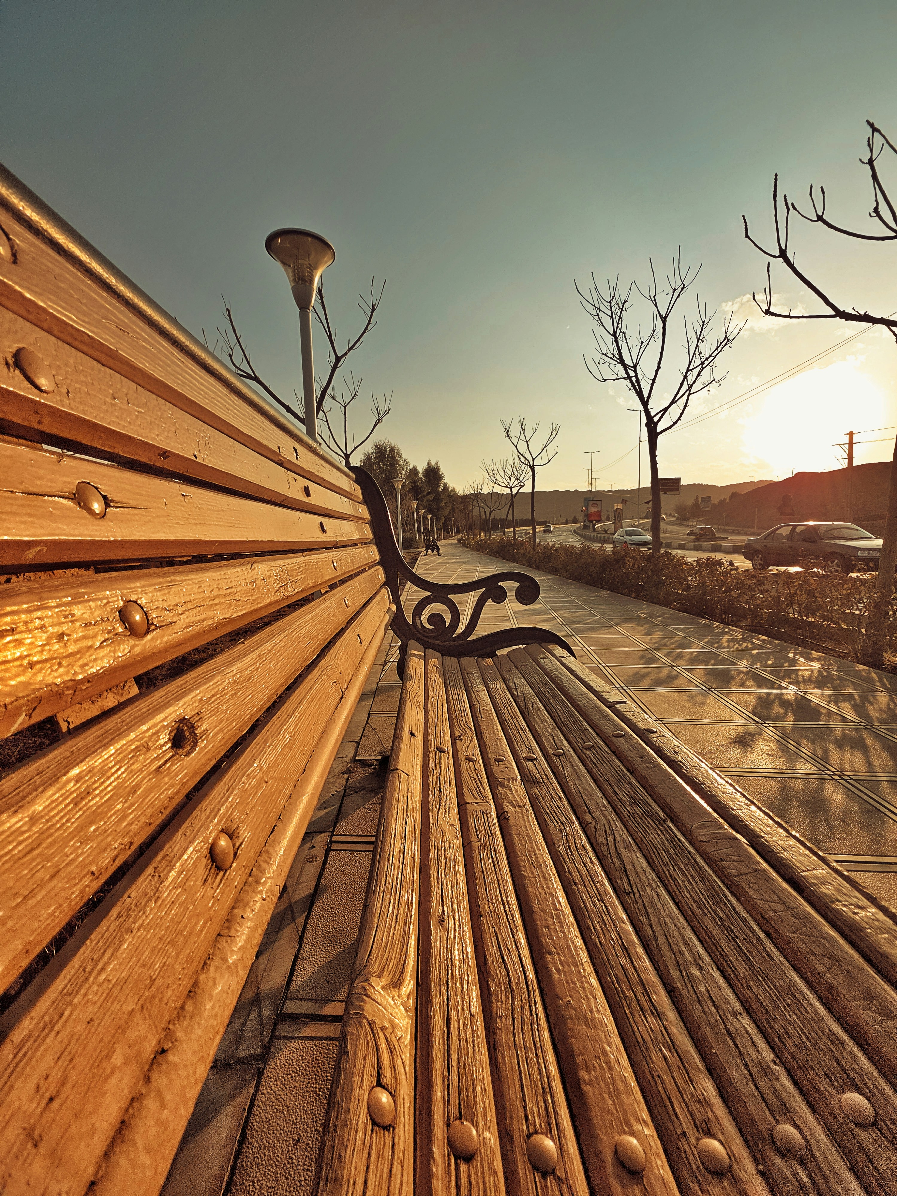 Sunlit Bench Trail: A Long Perspective of Wood and Light
