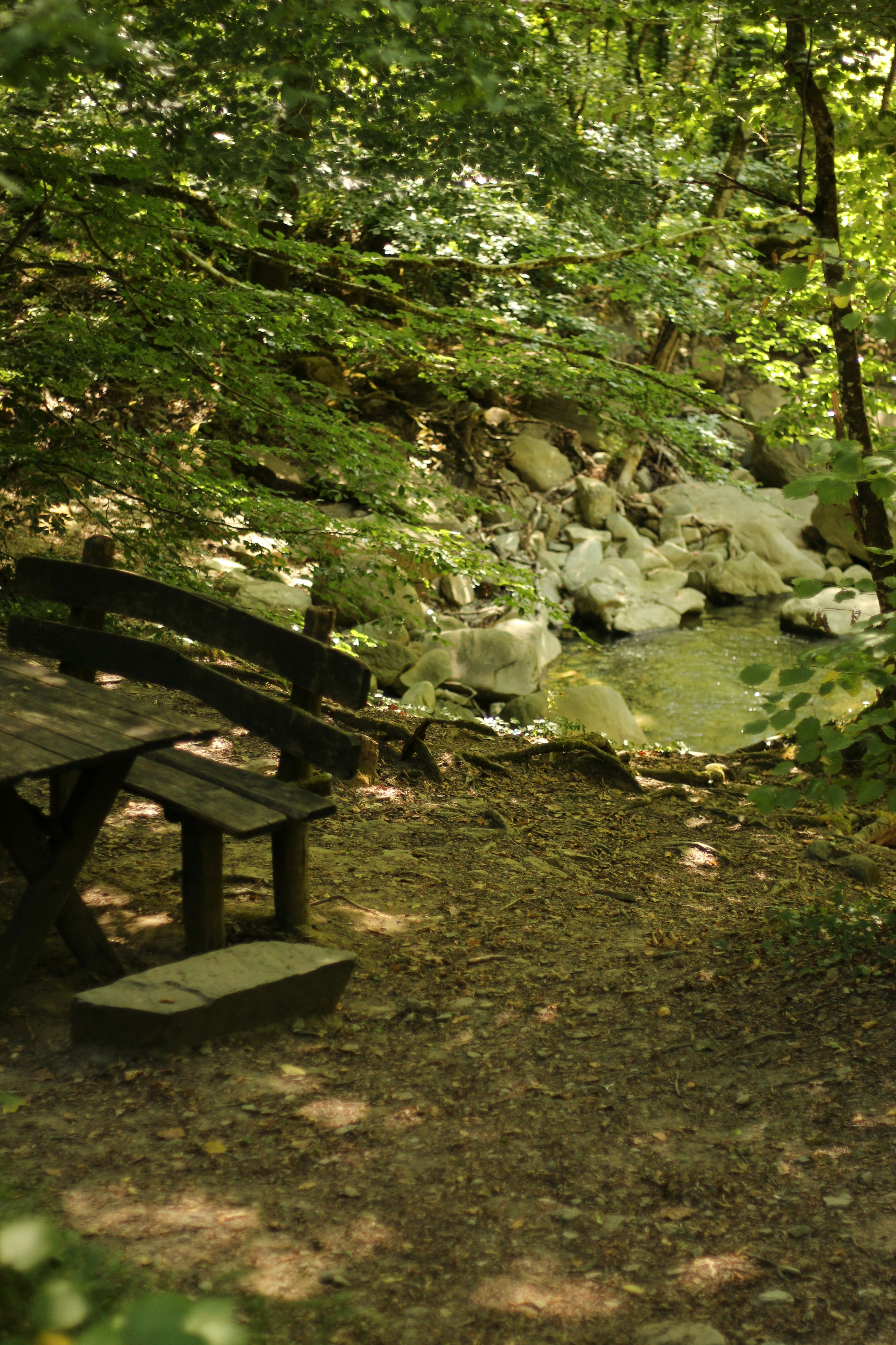 Woodland Clearing by a Quiet Stream with a Weathered Picnic Table