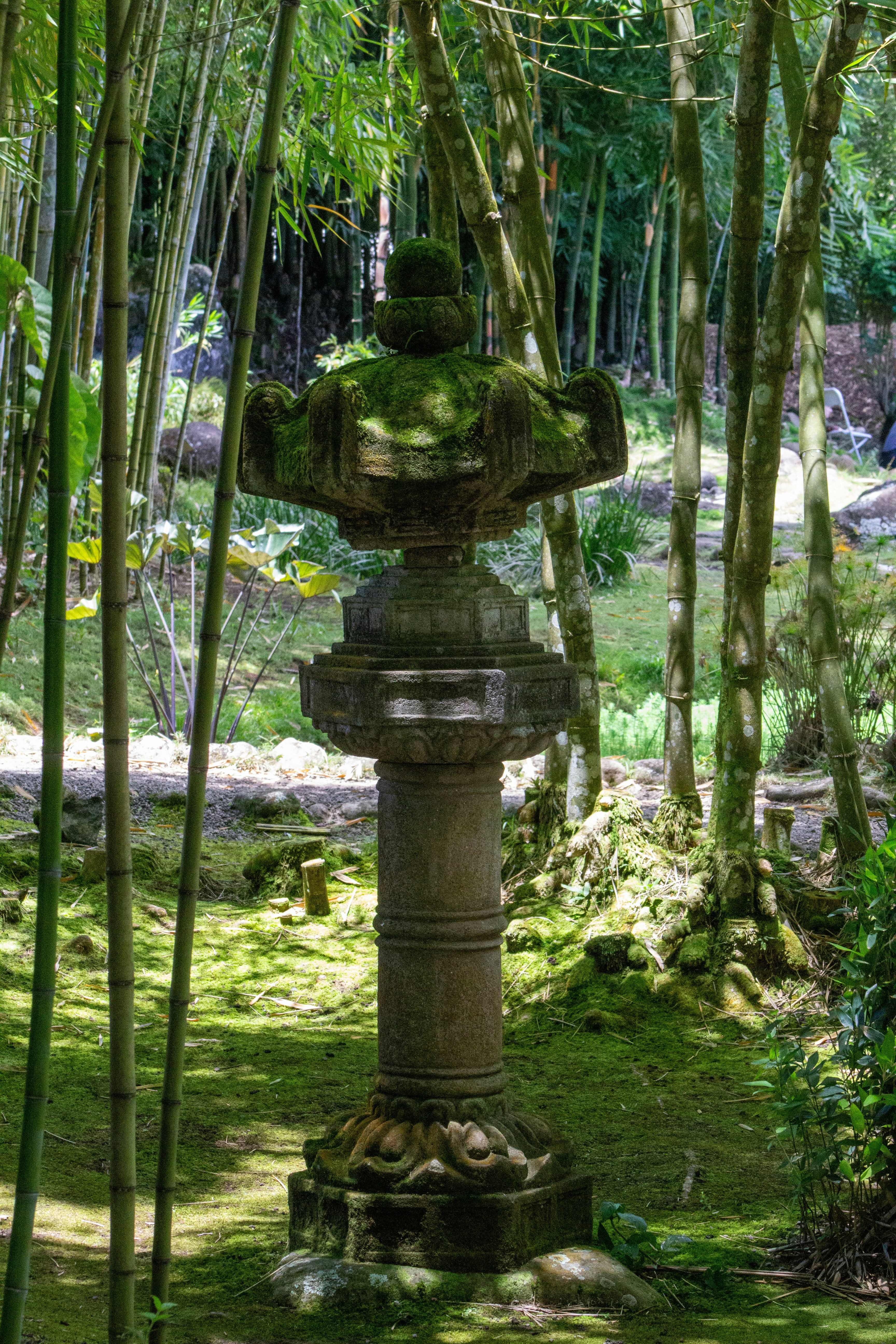 Stone Lantern in a Misty Bamboo Verge