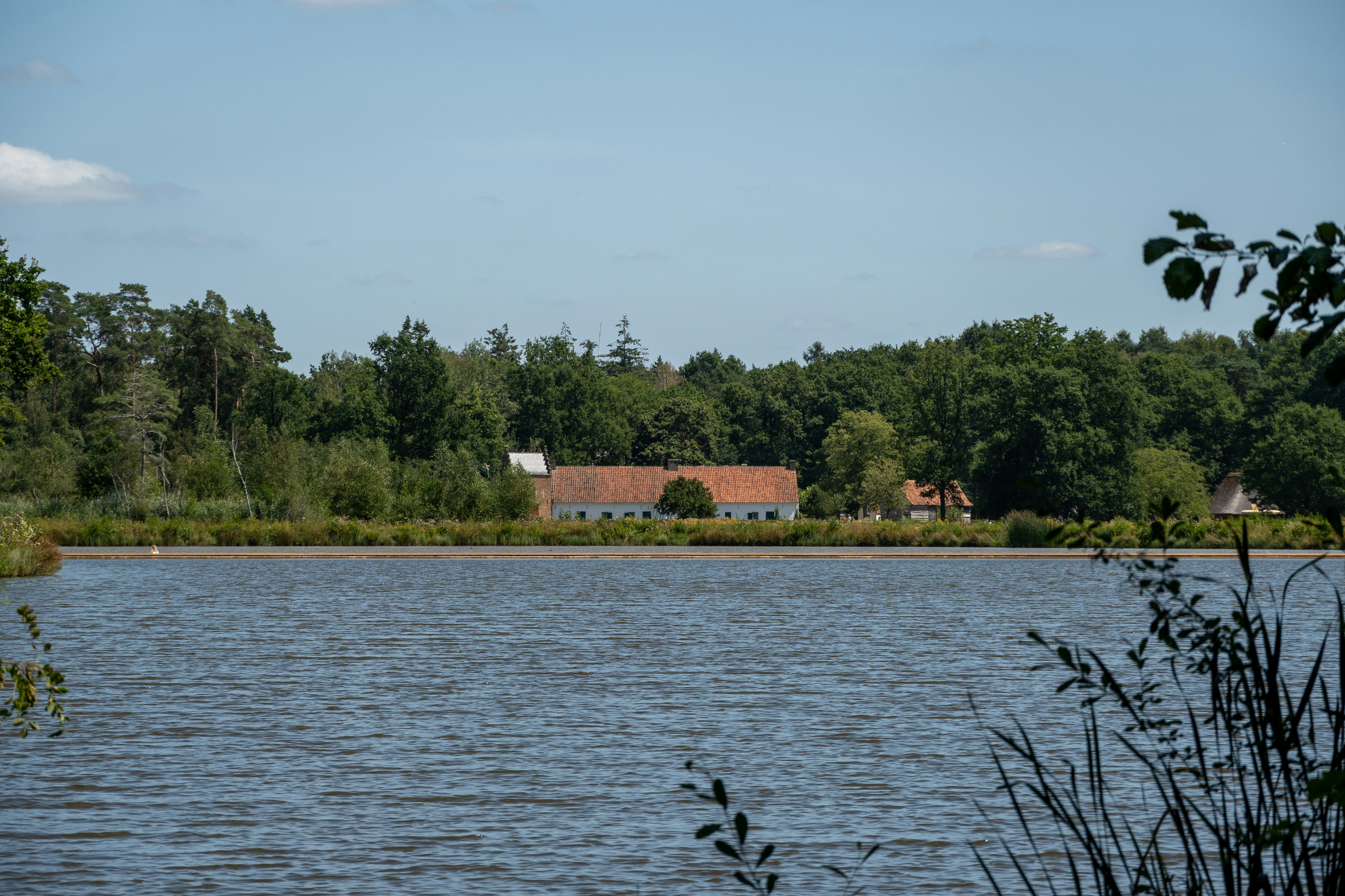 Calm Lakeside Row: Distant Farmhouses Framed by Greenery