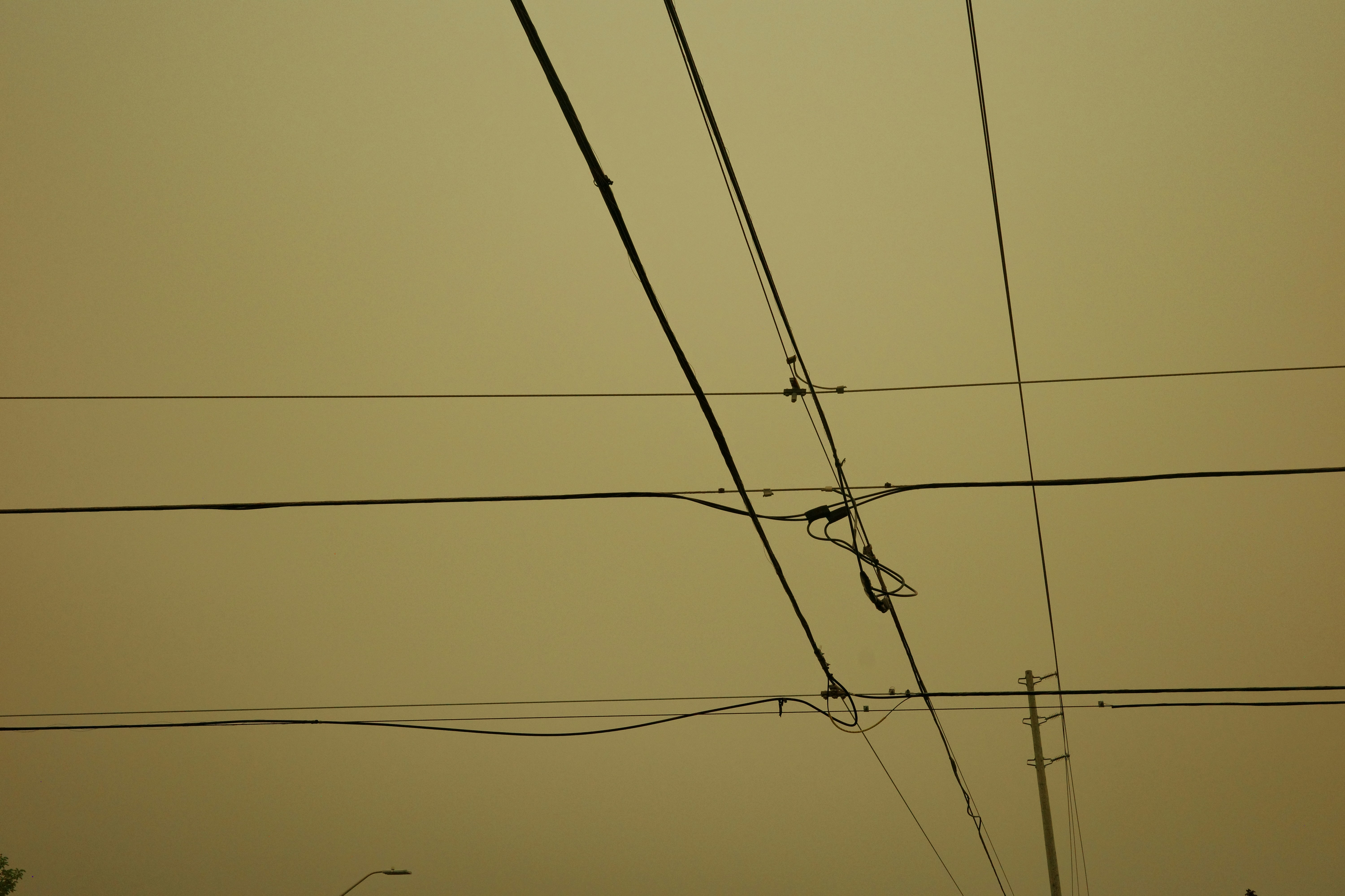 Muted Horizon Lines: Electrical Writings Across a Golden Sky