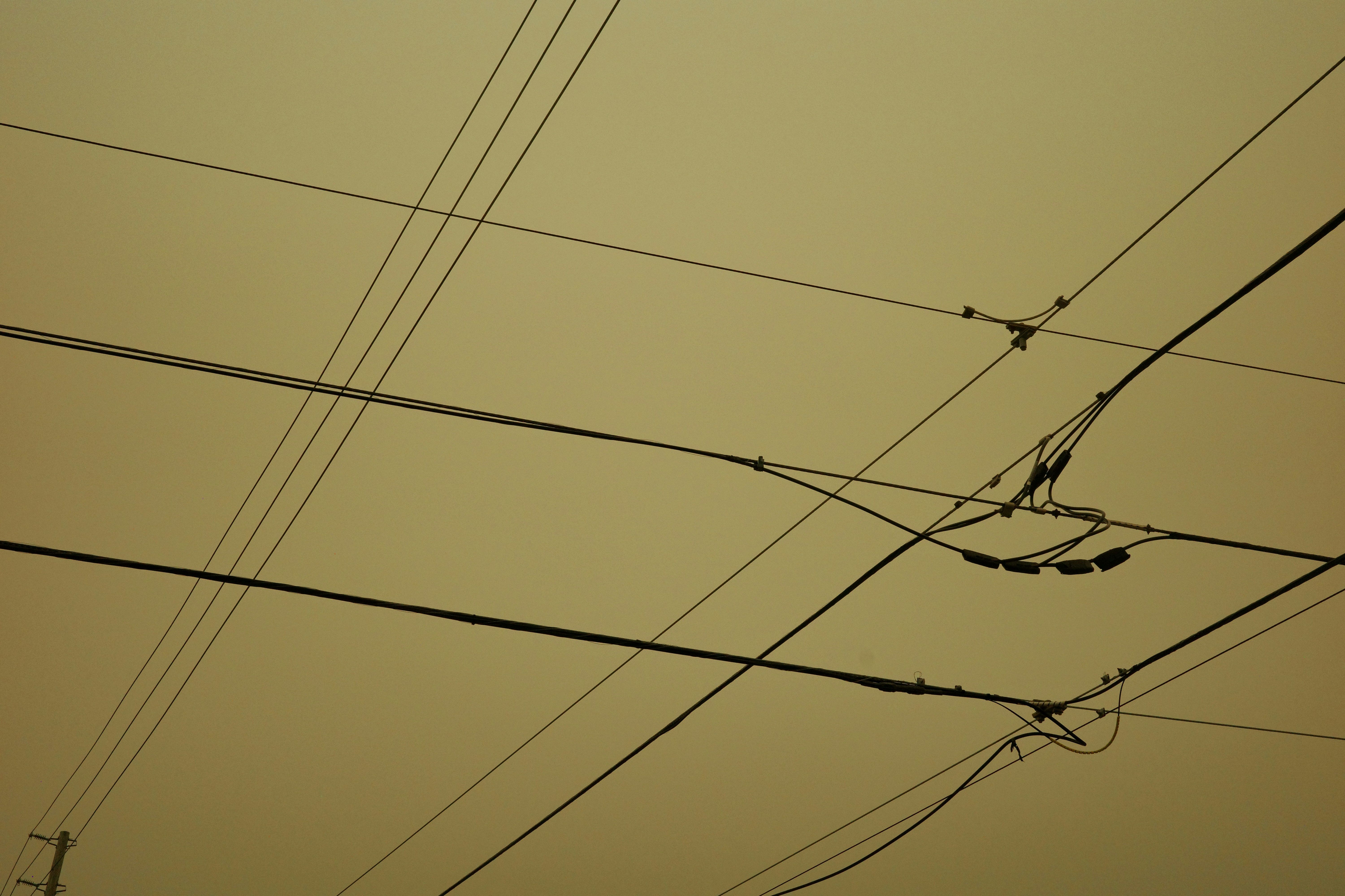 Tangled Lines: A Quiet Constellation Across a Golden Sky