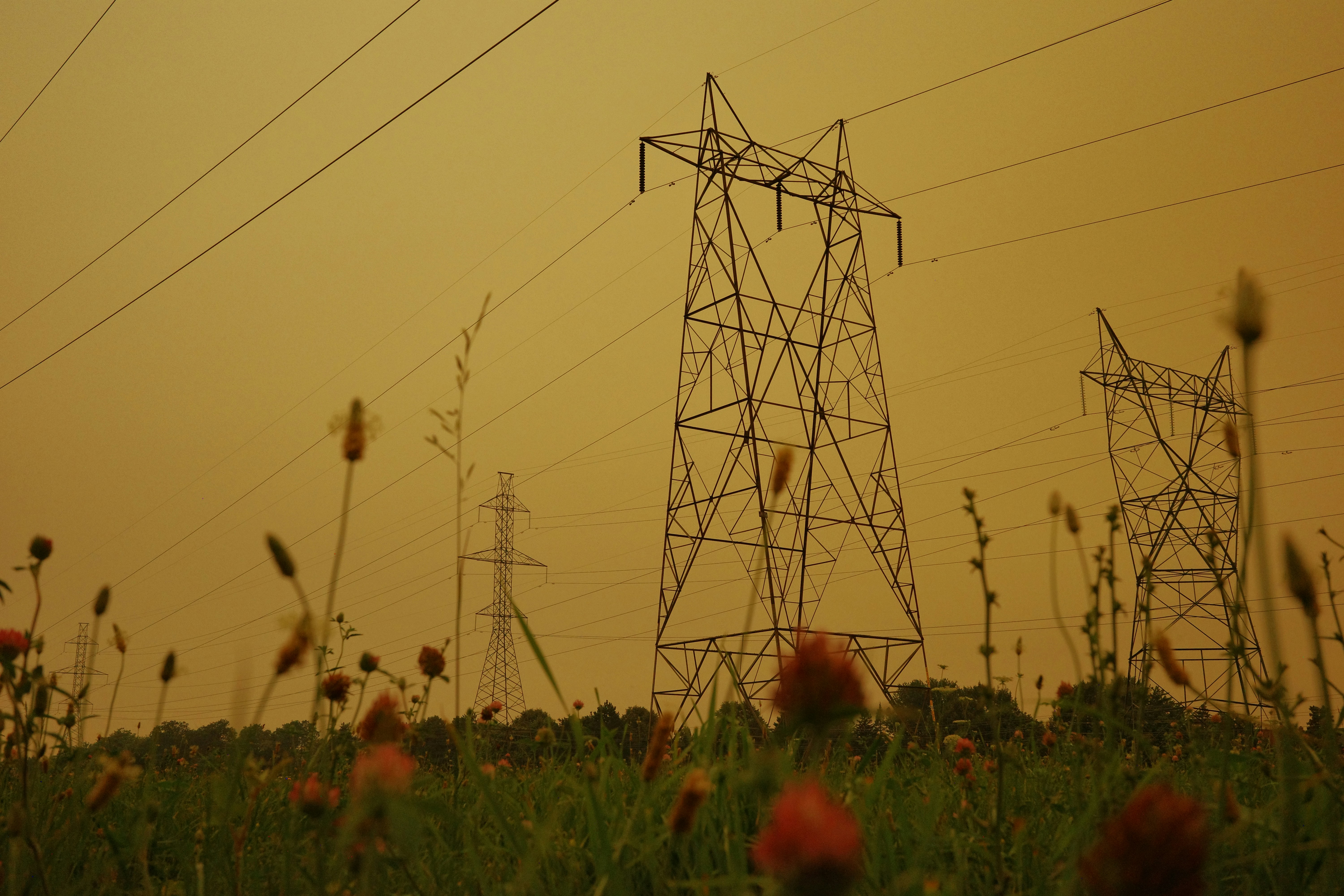 Sunset Tangle: Power Lines Framing a Quiet Field