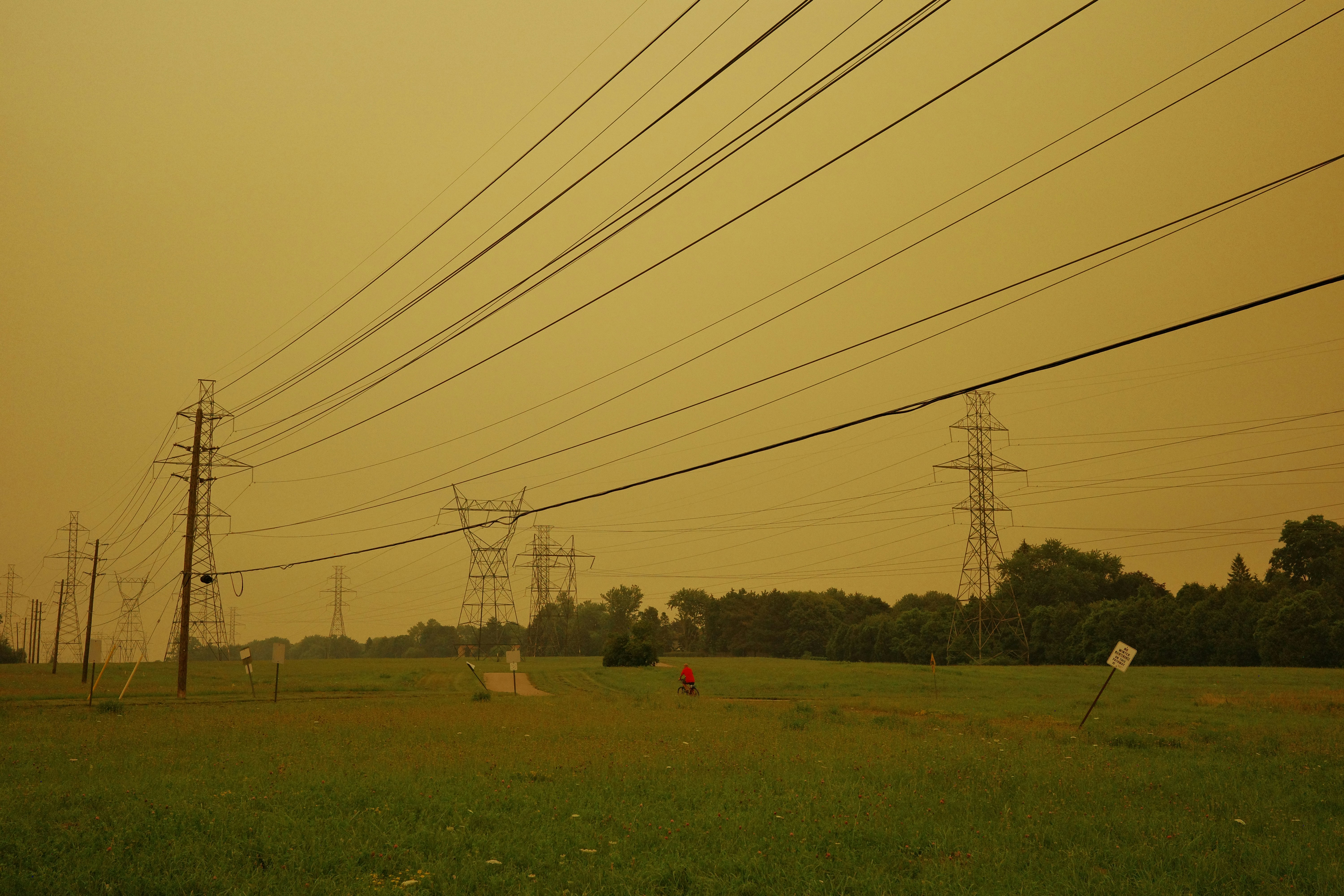 Power Lines Across a Quiet Field at Dusk