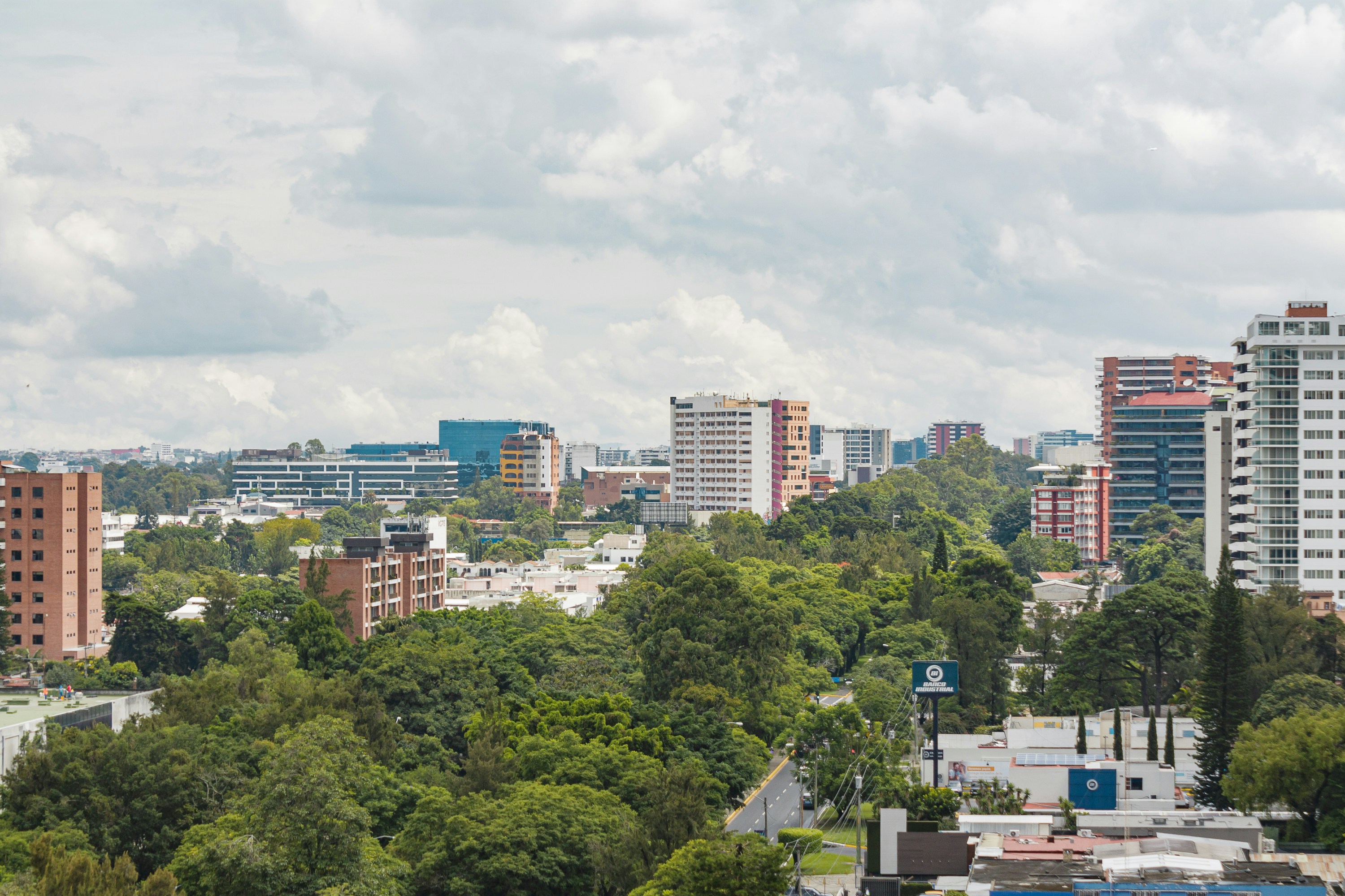 Cityscape Above the Canopy: A Quiet Horizon of Greens and Glass