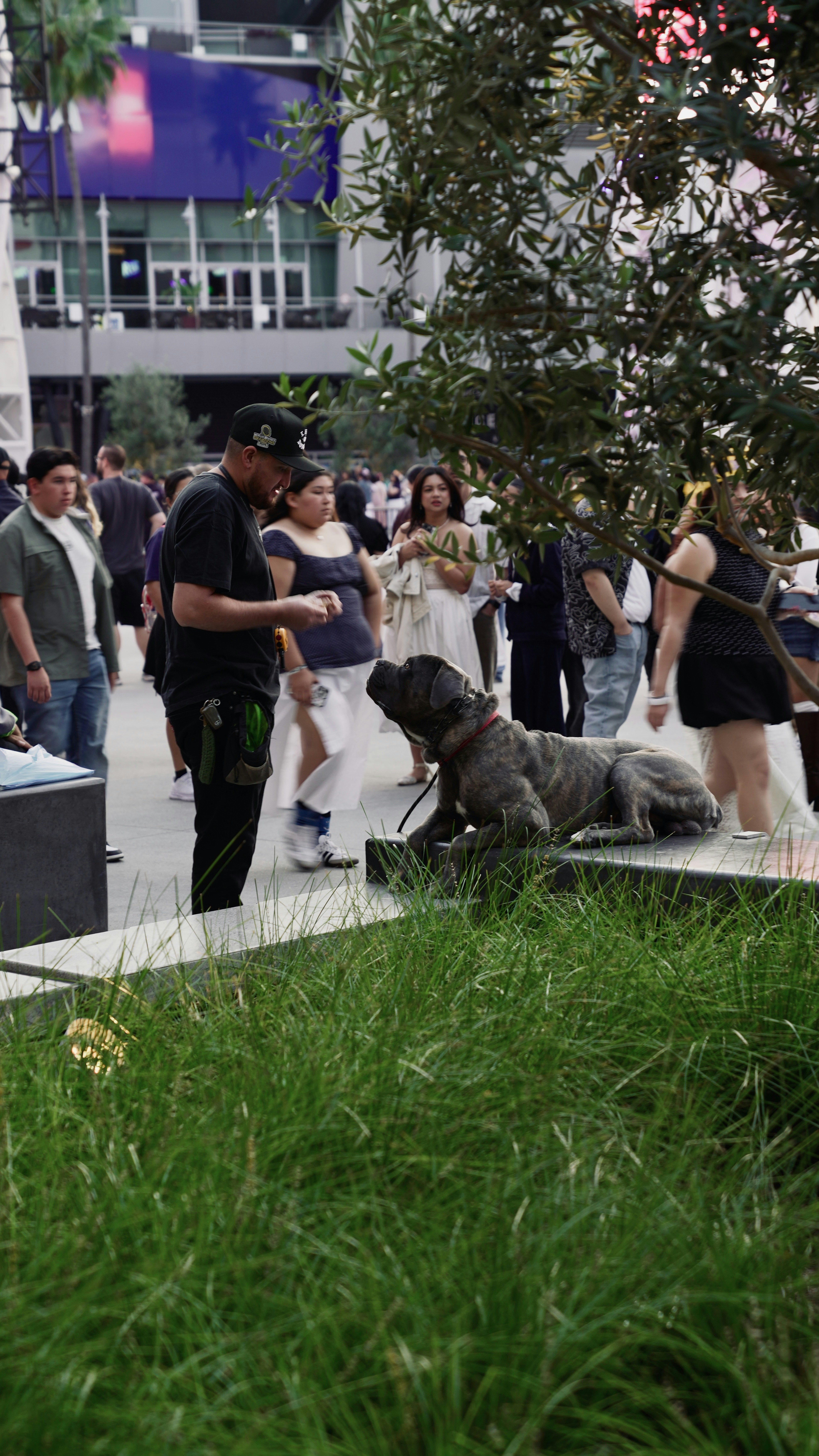 Portrait of Interaction: A man and his dog amid urban crowd