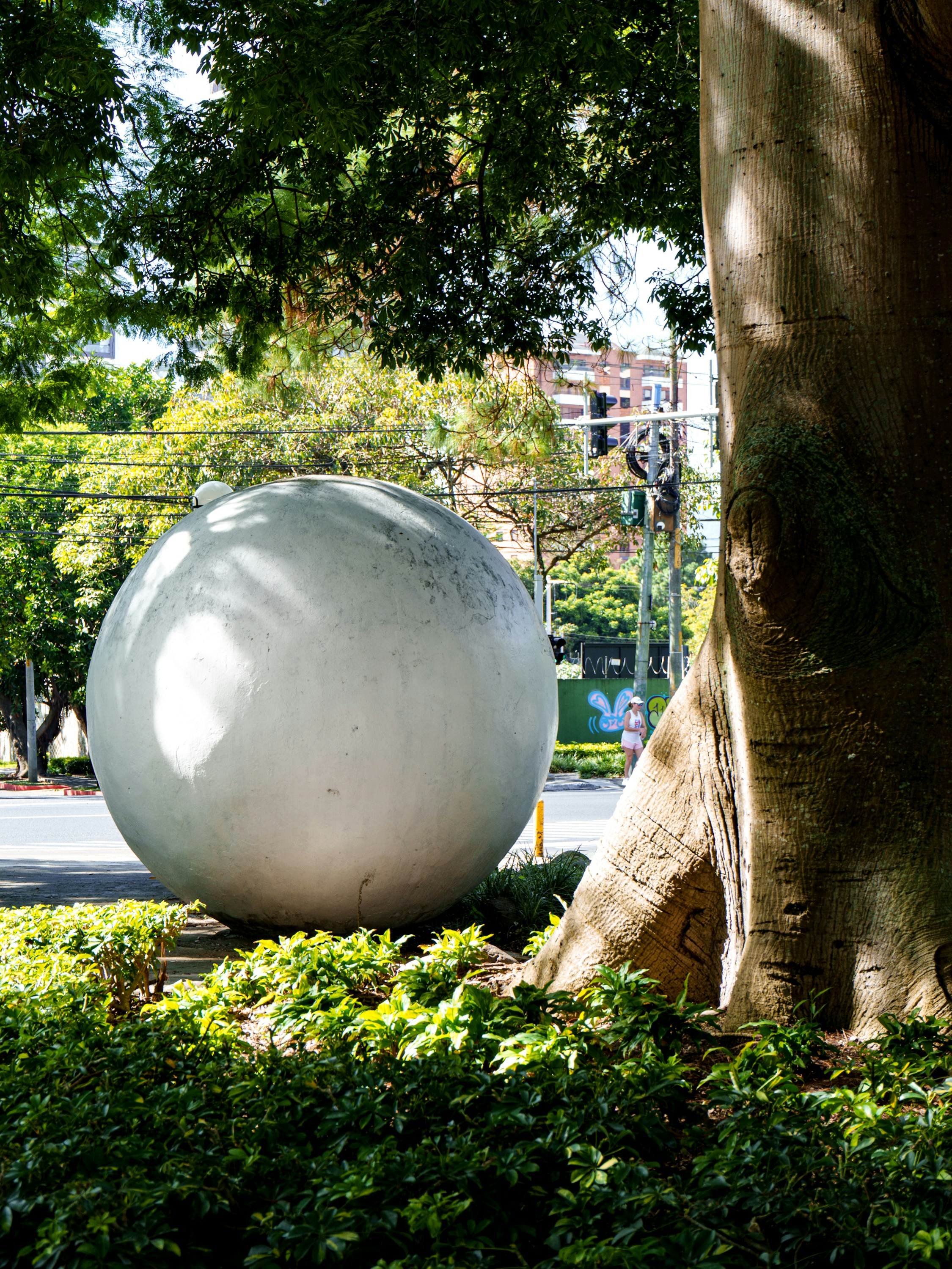 Sphere in Morning Shade: A Quiet Urban Green Moment