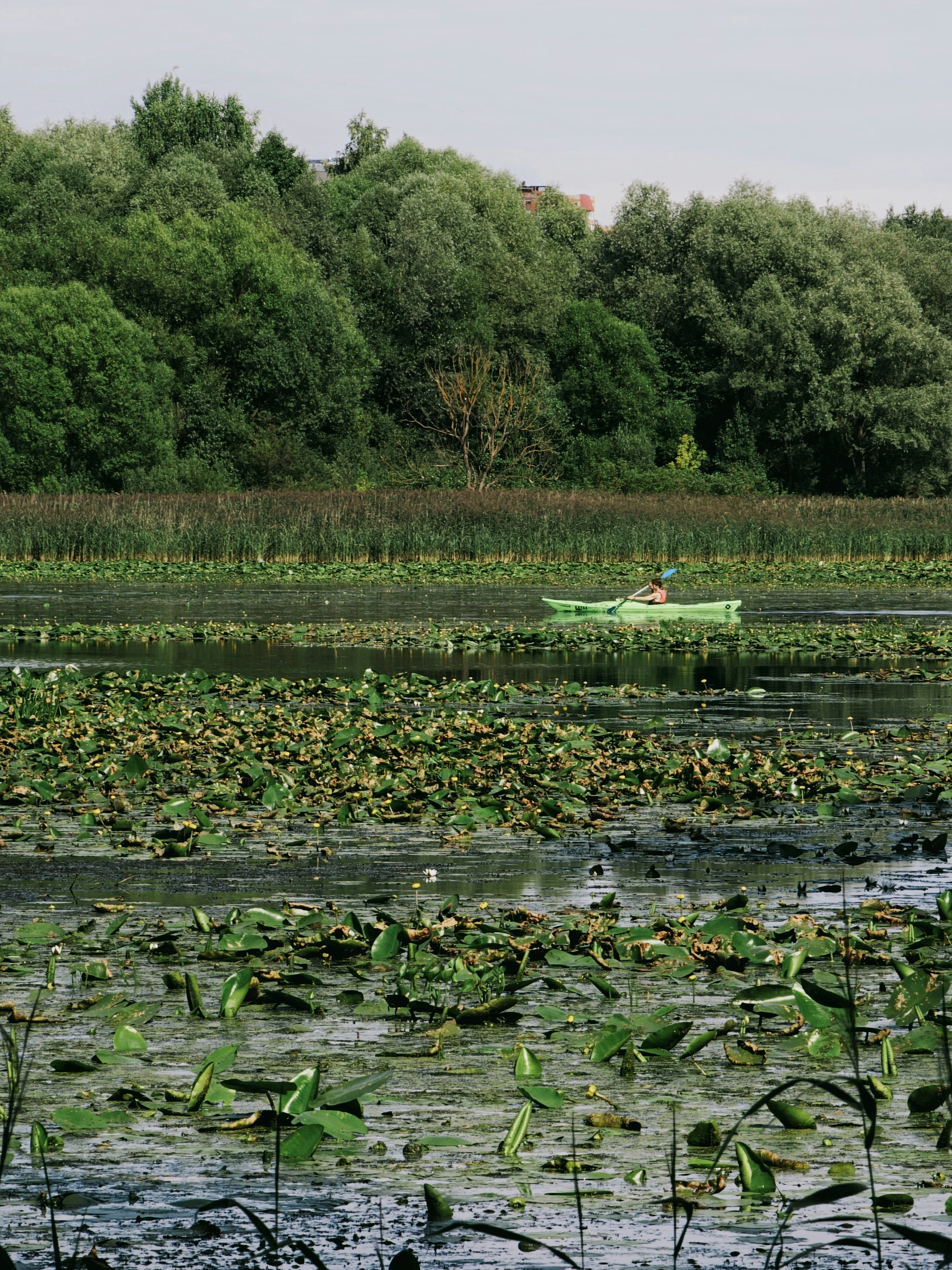 Green Kayak on a Serene Wetland Corridor