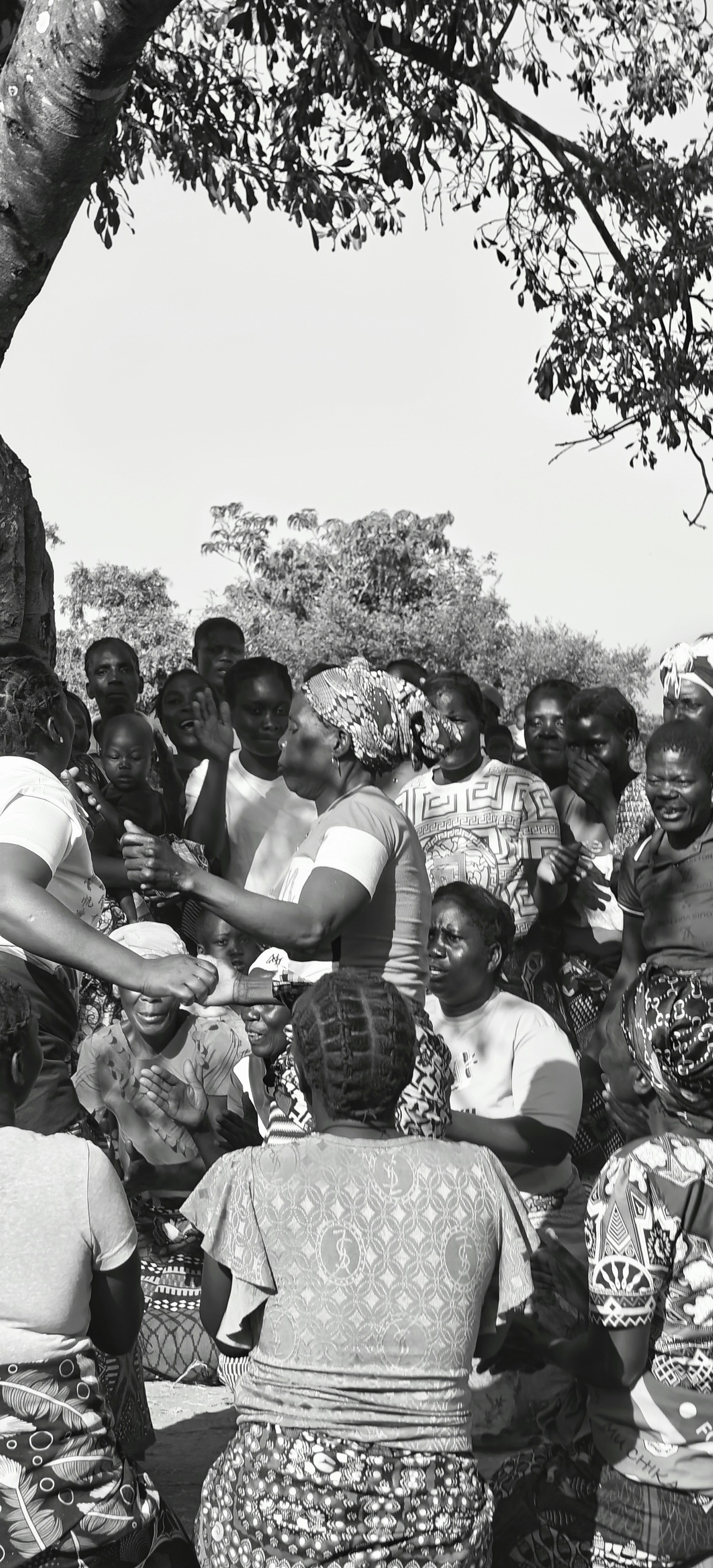 Celebration Under the Tree: A Community Moment in Black and White