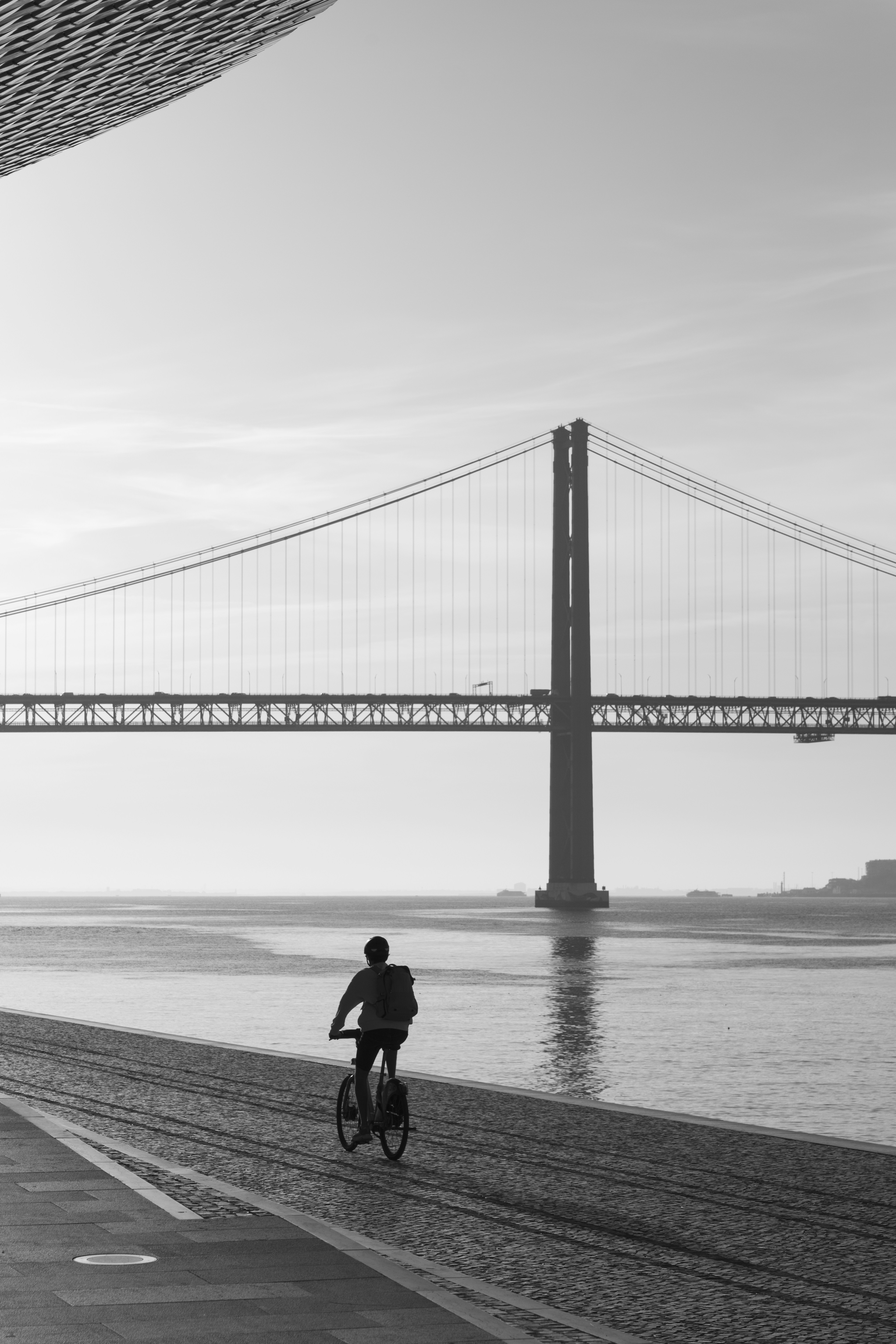 Cyclist Under the Span: A Quiet Harbor Moment