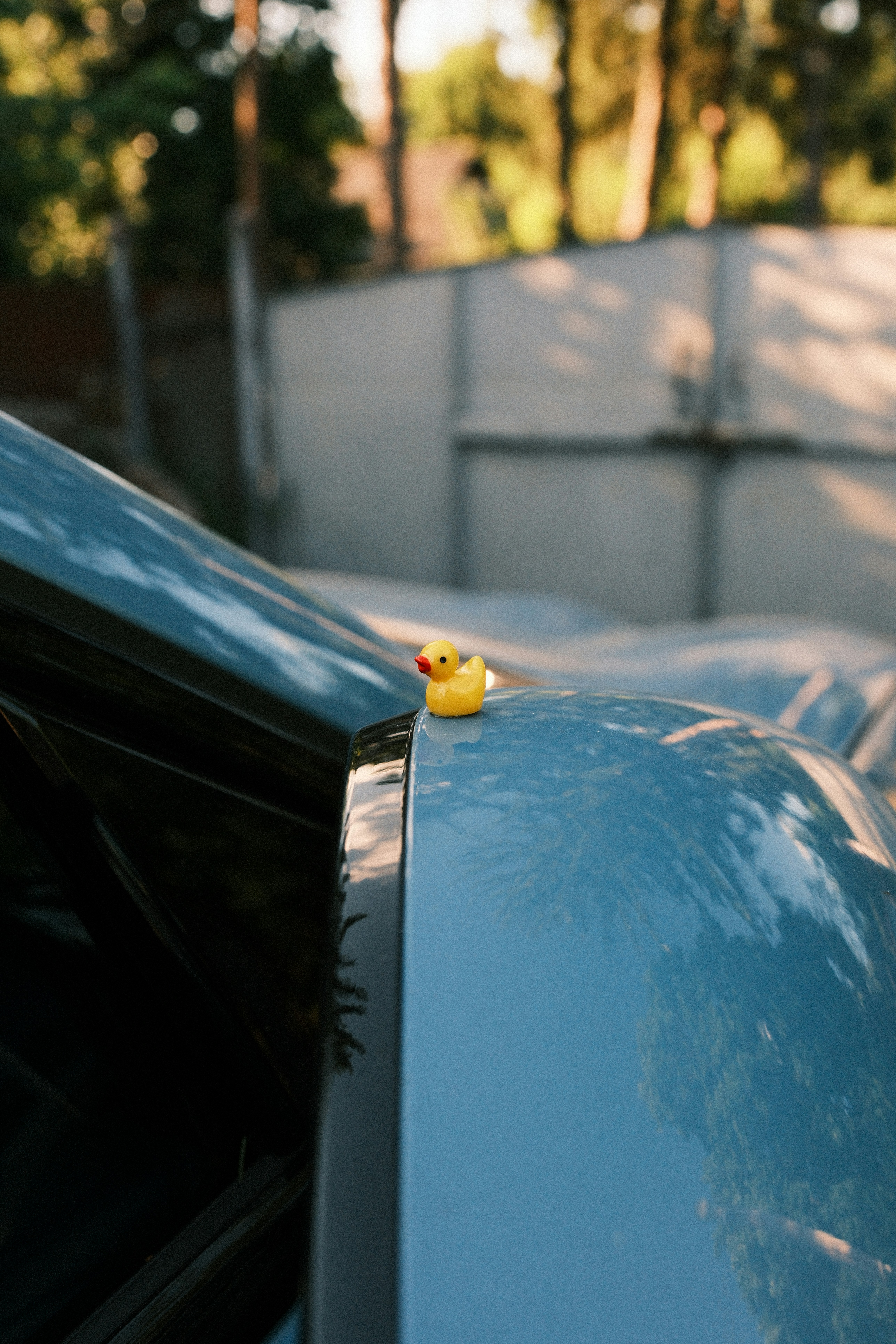 Tiny yellow duck toy sits on the chrome hood of a car, reflecting soft outdoor light with blurred background.