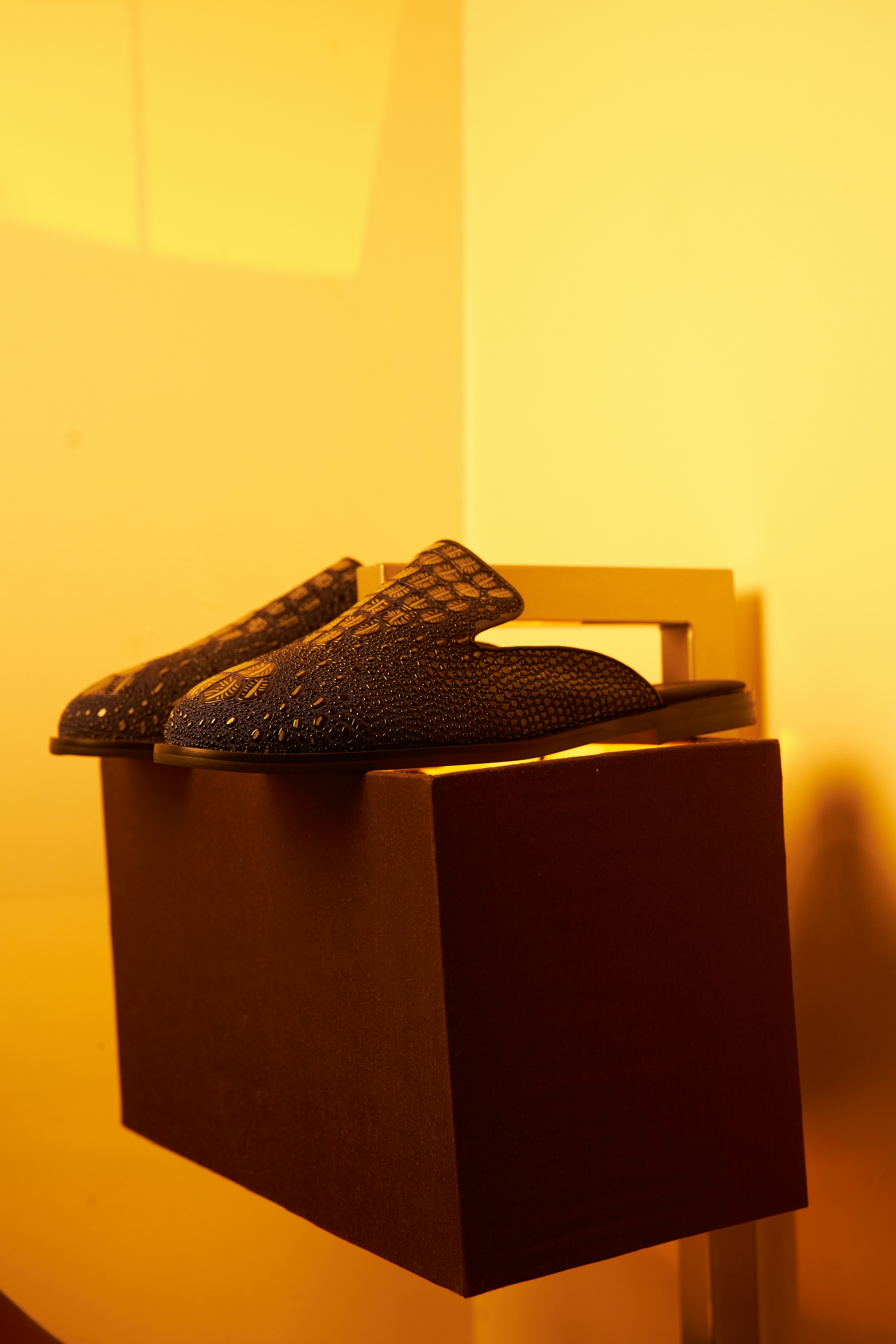 Spotlight on the Speckled Slippers: A Quiet Shoe Moment