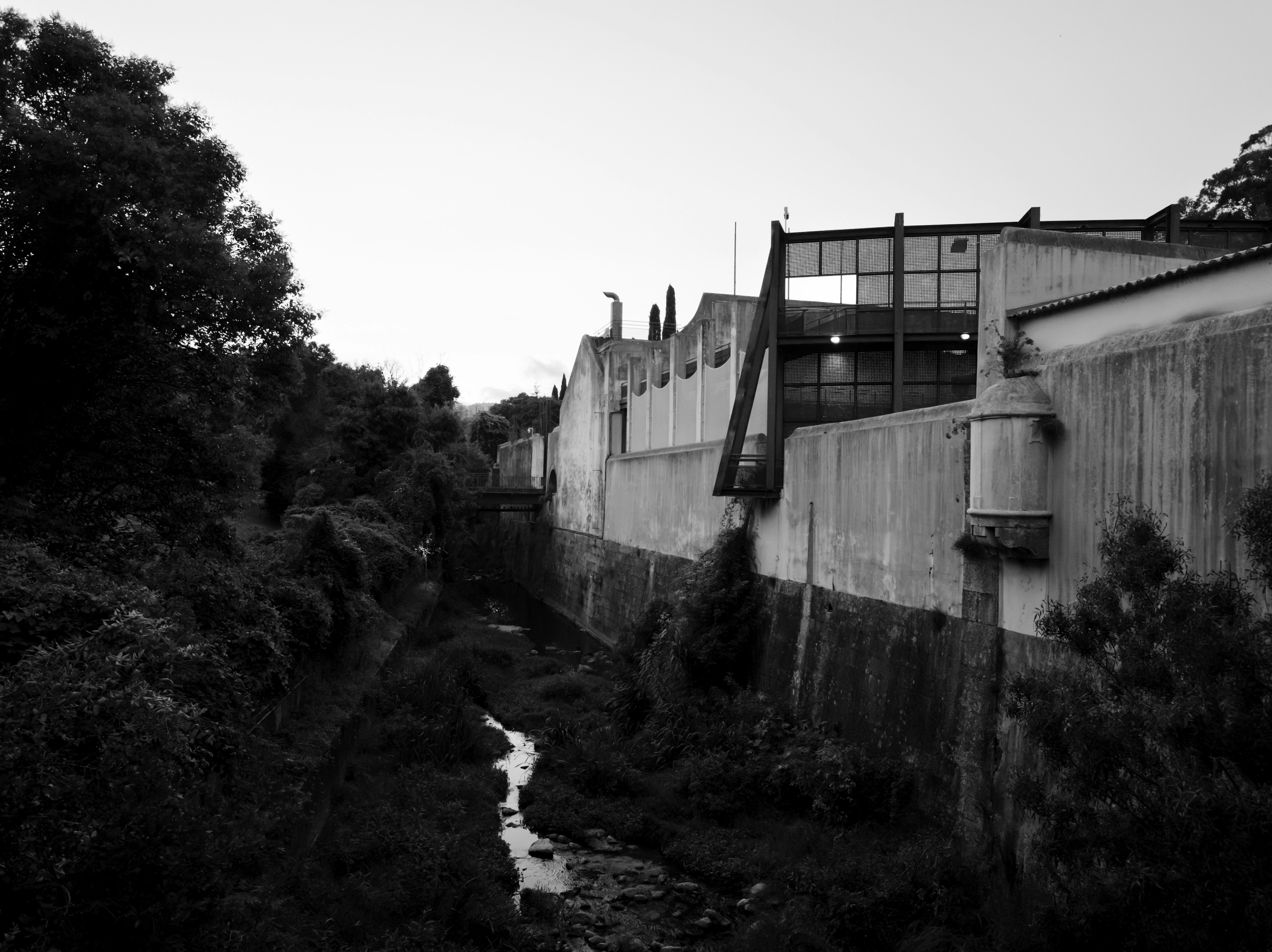 Photo by Filipe Nobre with Xiaomi 14T Pro